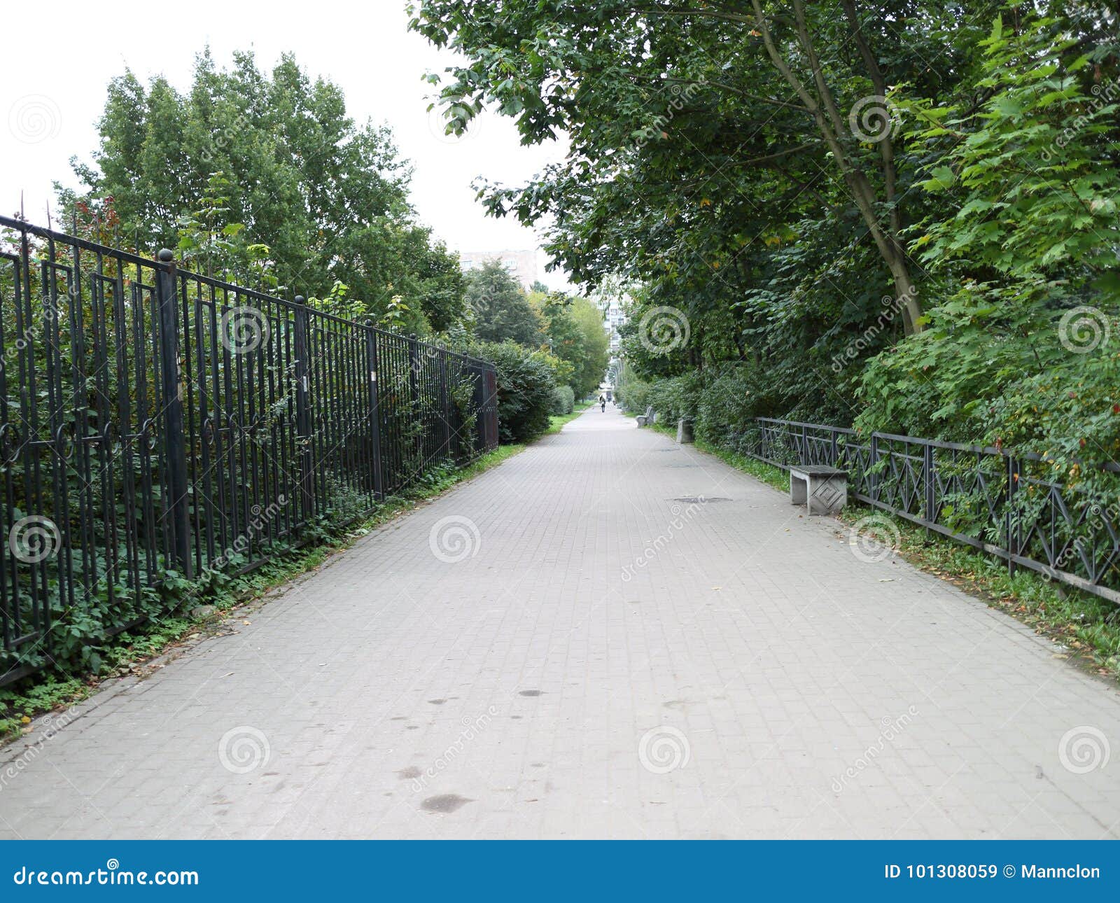 A pedestrian path stock image. Image of bright, field - 101308059