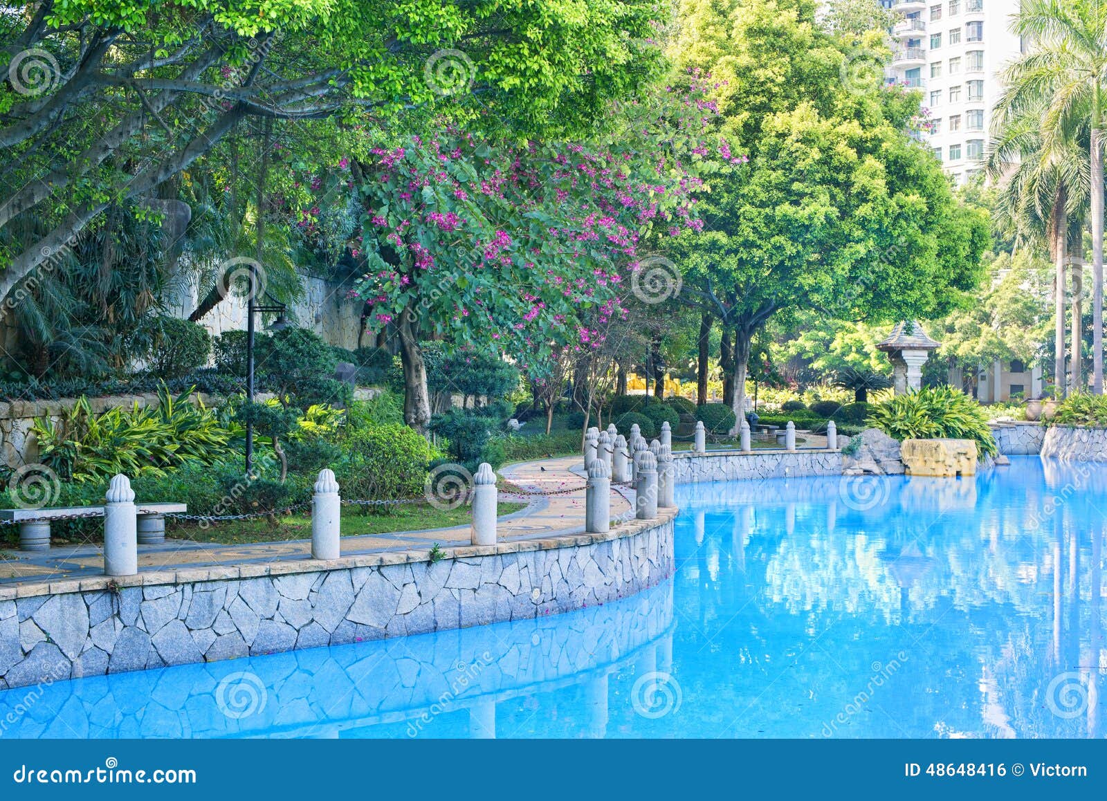 Pedestrian Path by the Pool Stock Photo - Image of nature, green: 48648416