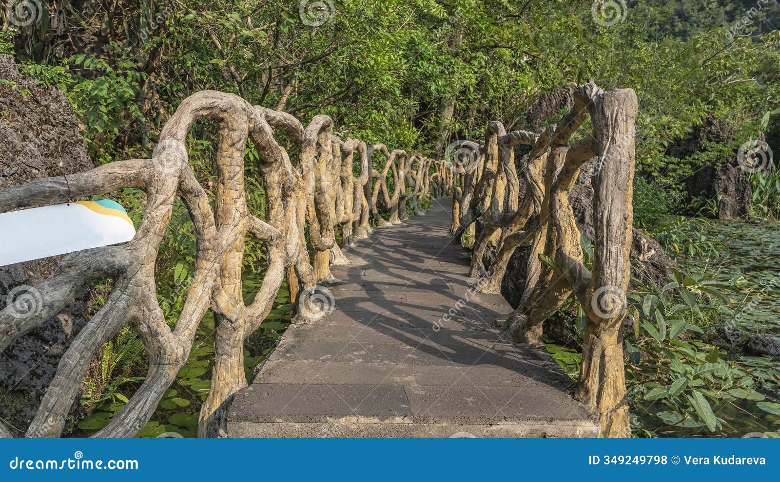 A Pedestrian Path with a Railing of Intertwined Branches Goes Forward ...