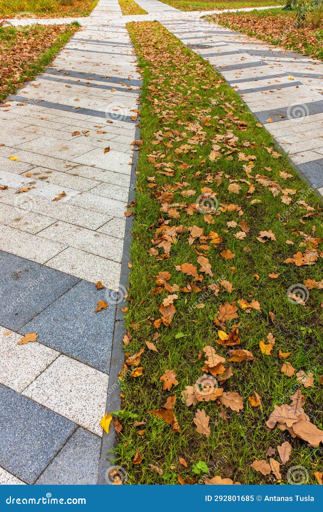 Pedestrian Paths with Autumn Leaves and Grass Stock Image - Image of ...