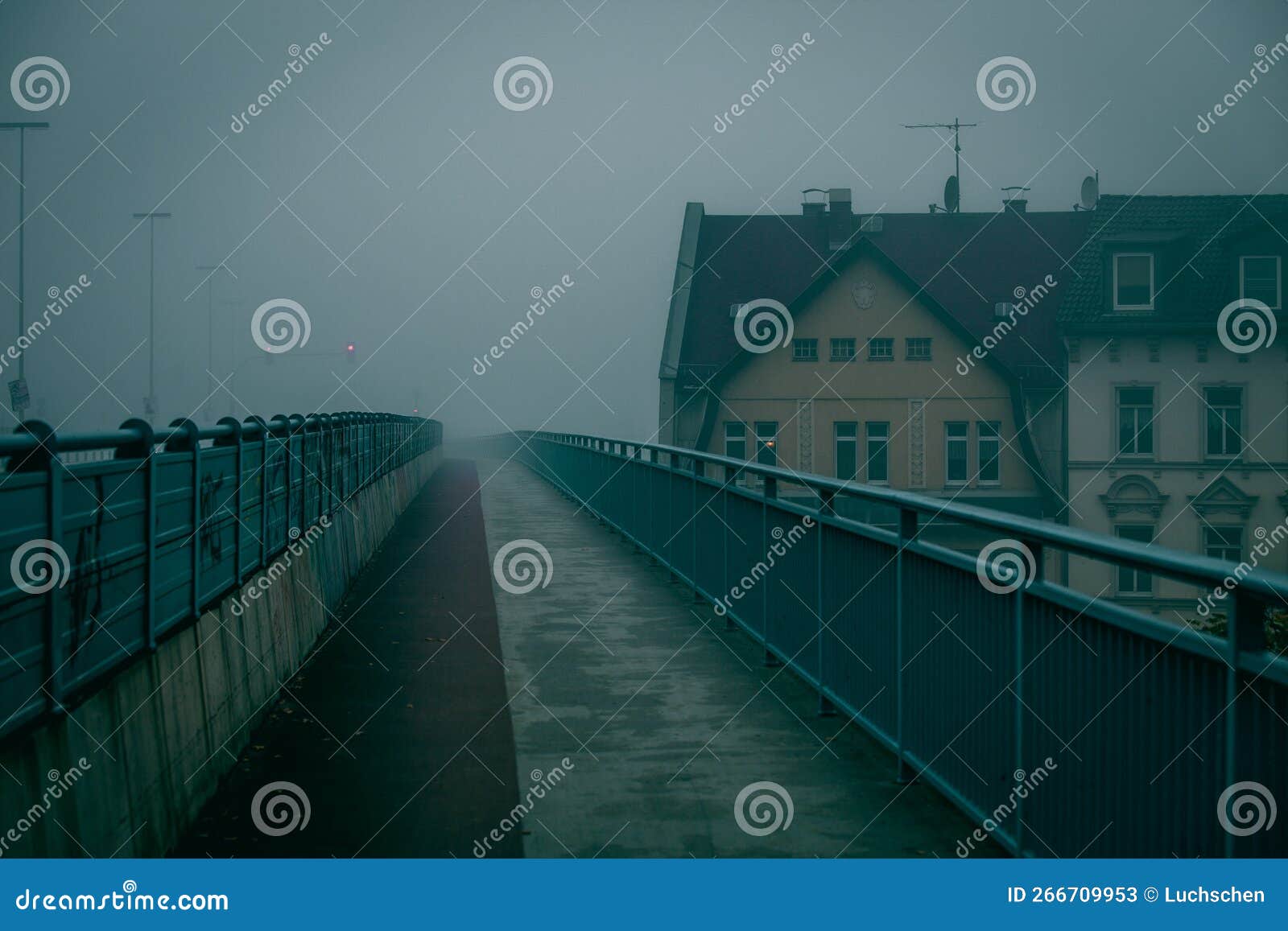 Pedestrian Paths on the Bridge in the Fog Stock Image - Image of river ...