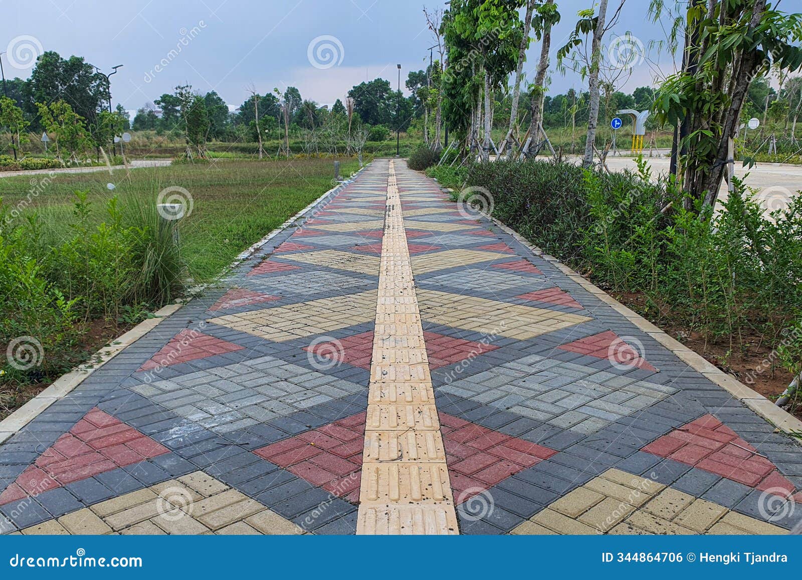 Pedestrian Pathway with a Colorful Paving Block Pattern and Guiding ...