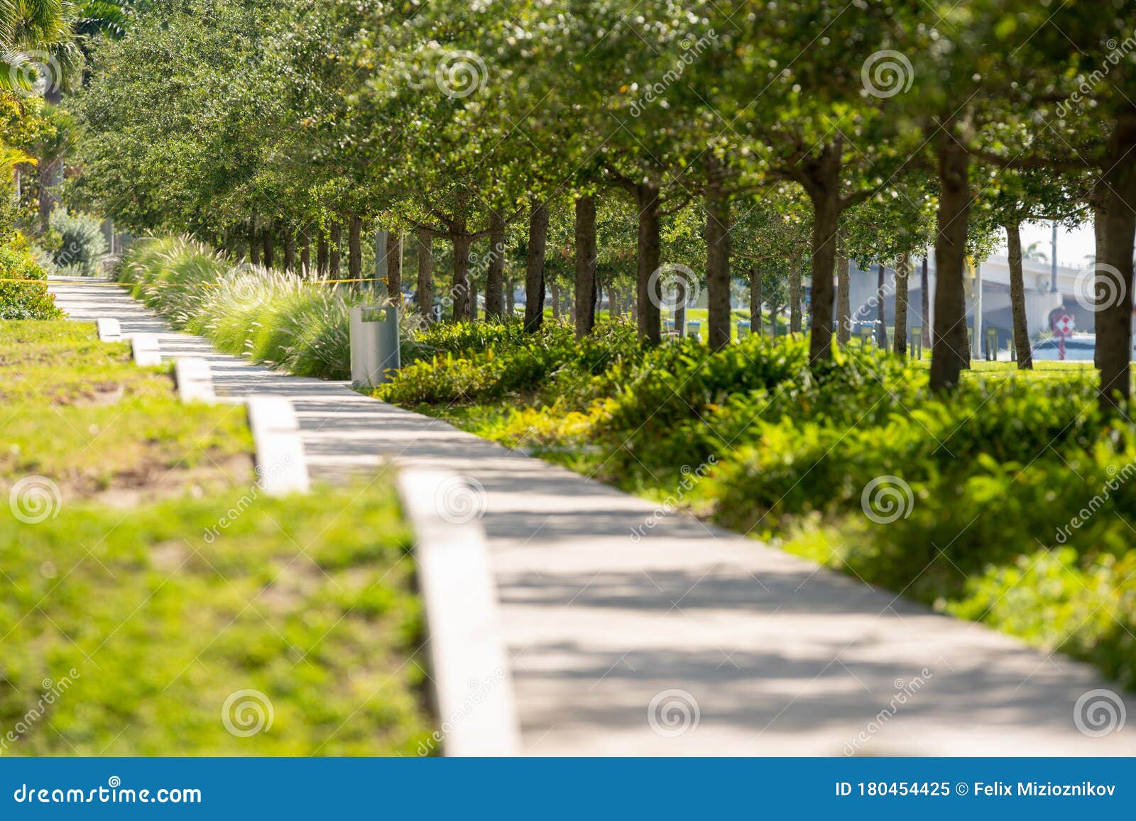 Pedestrian Pathway in the Park Plush Green Landscape Stock Image ...