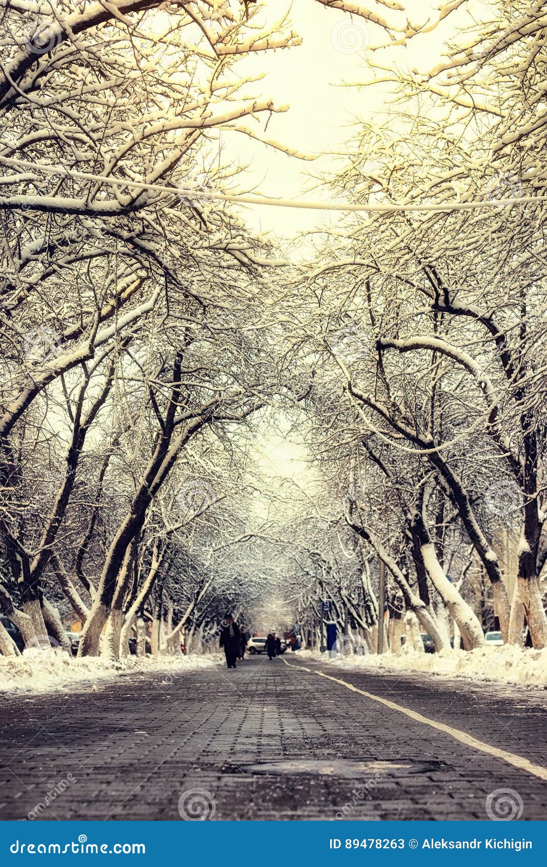 Pedestrian Pathway Tree Winter Stock Image - Image of horizontal ...