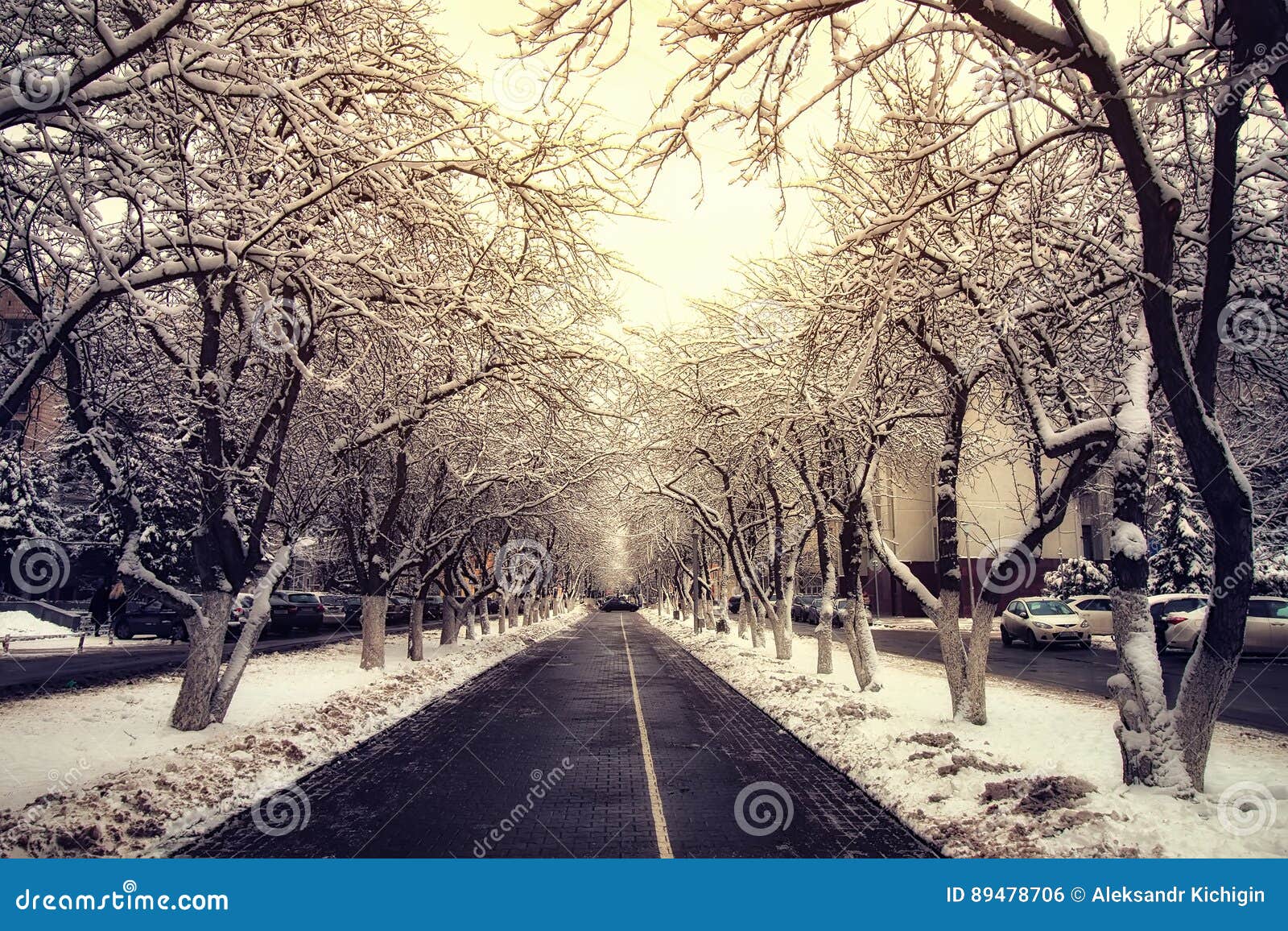 Pedestrian Pathway Tree Winter Stock Photo - Image of snow, sidewalk ...