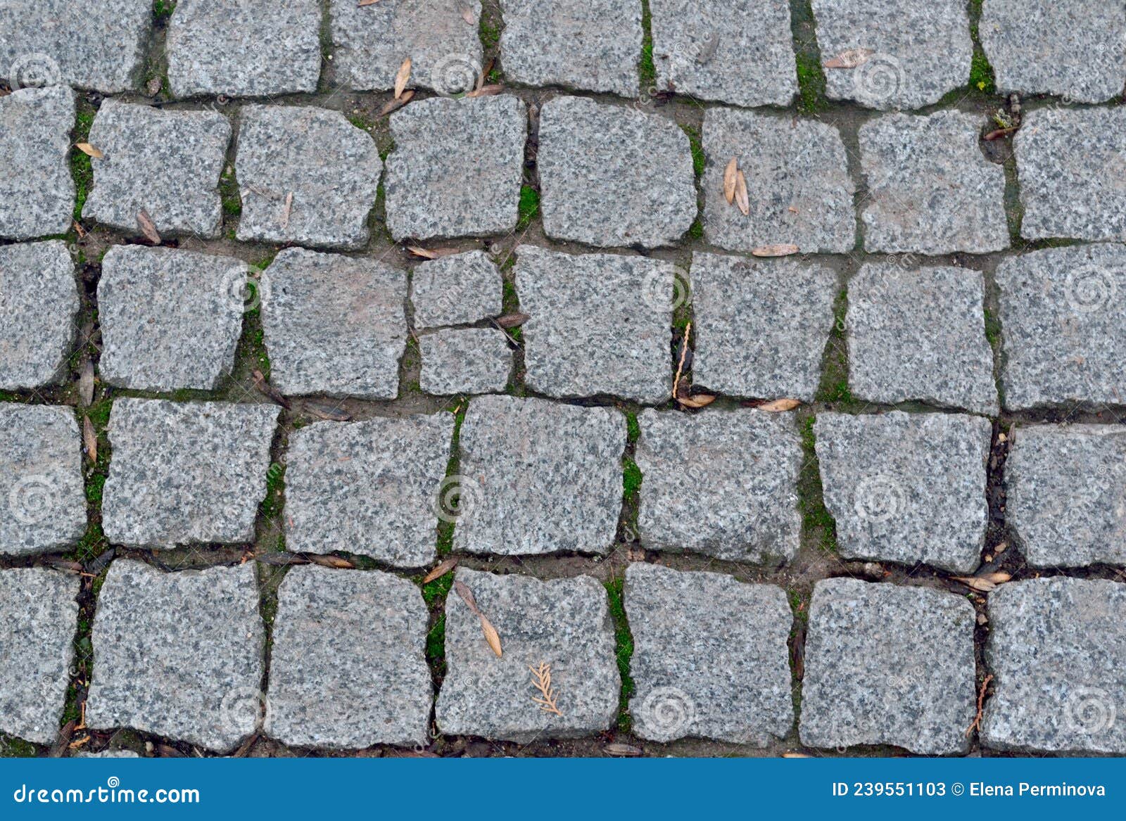Pedestrian Road Paved with Dark Natural Stone, Rectangular Shape Stock ...