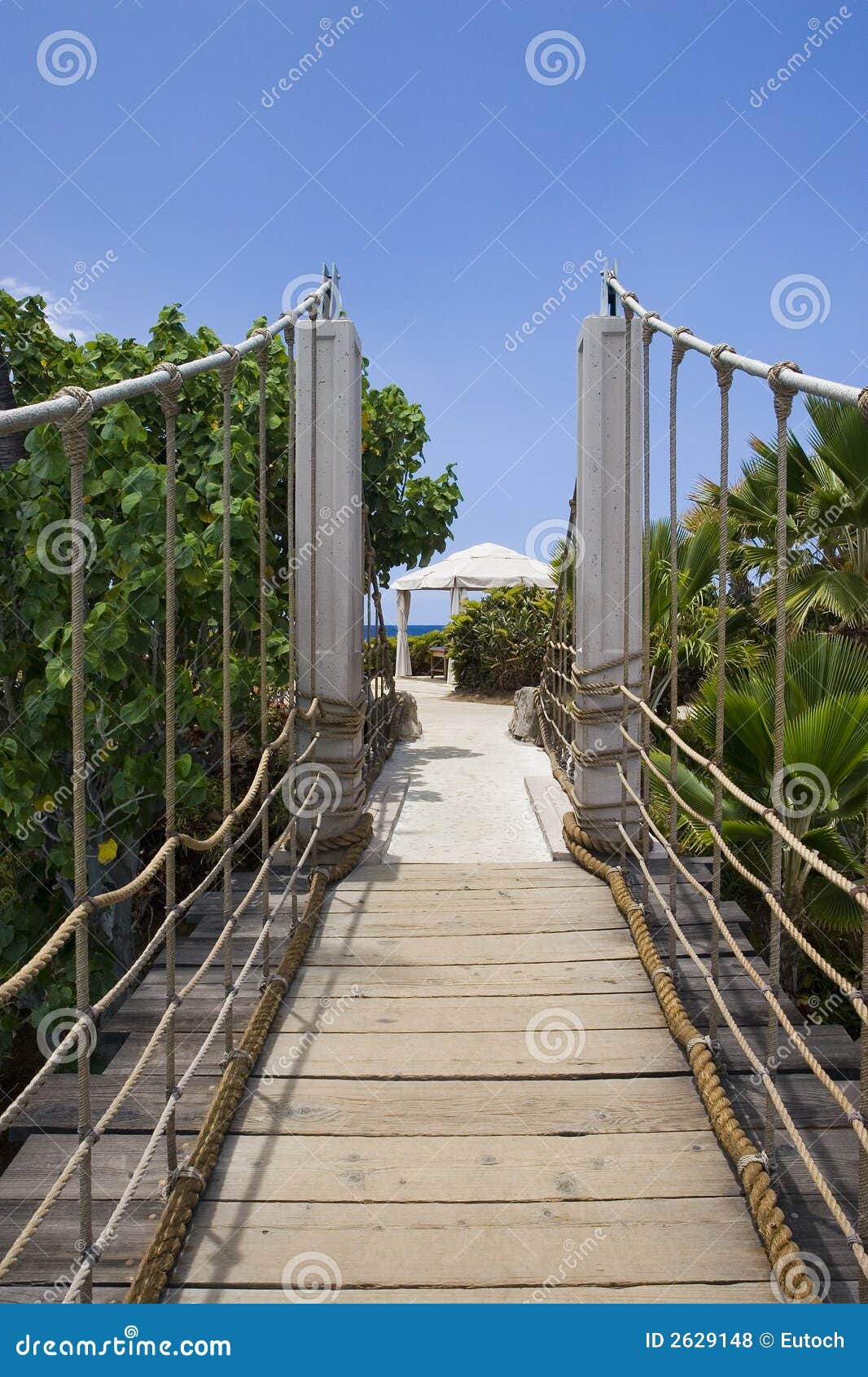 Pedestrian rope bridge stock photo. Image of blue, rope - 2629148