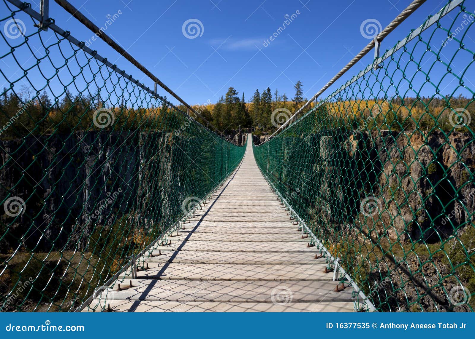 Pedestrian Suspension Bridge Stock Photography | CartoonDealer.com ...