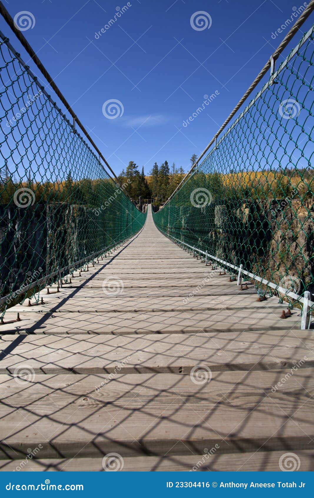 Pedestrian Suspension Bridge Stock Photography | CartoonDealer.com ...