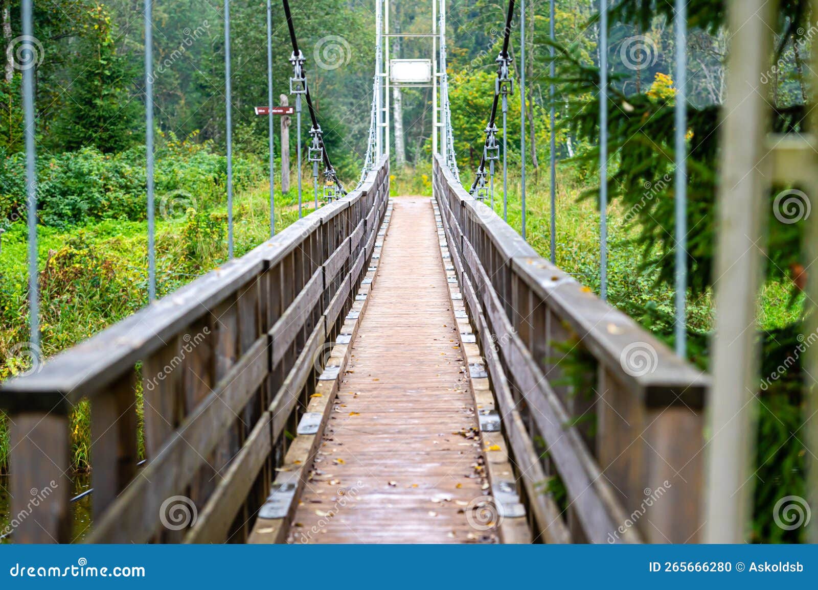 Pedestrian Hanging Bridge Over River in Tropical Forest Stock Photo ...