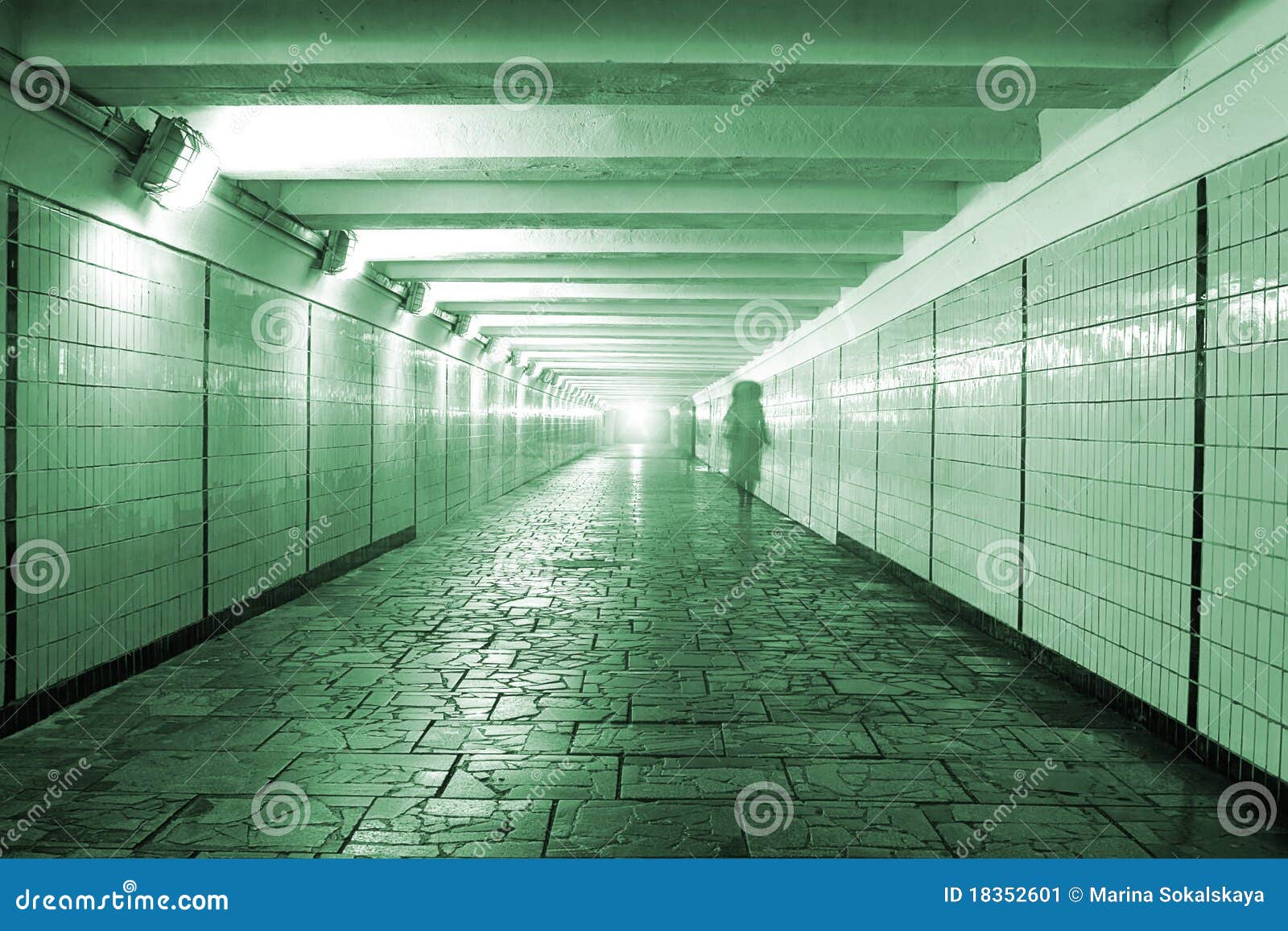 Pedestrian tunnel stock image. Image of grunge, crossing - 18352601