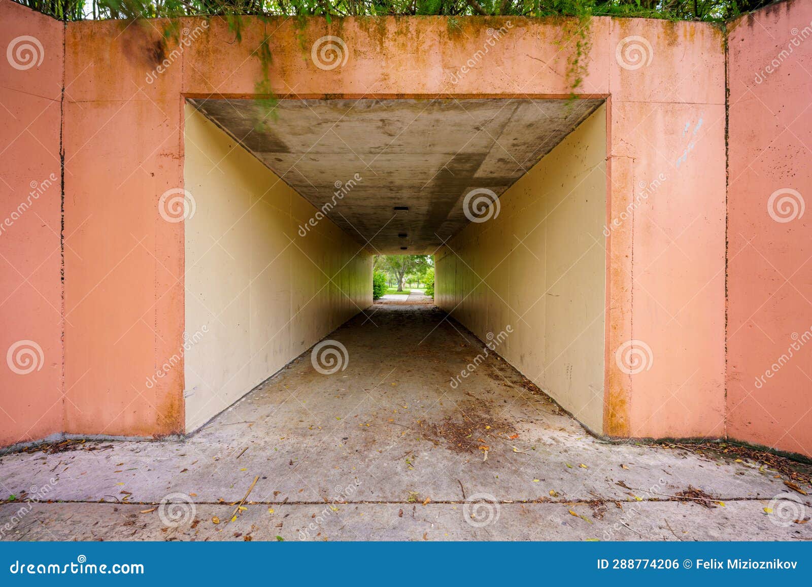 Pedestrian Tunnel in a Park Under a Bridge Stock Photo - Image of path ...