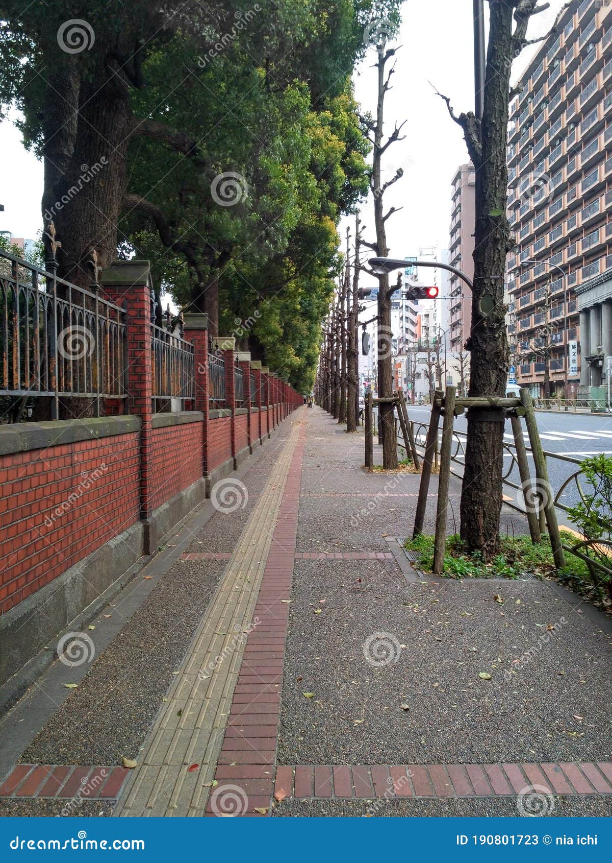 Pedestrian Walk at Front of the Univercity of Tokyo, 2016 Editorial ...