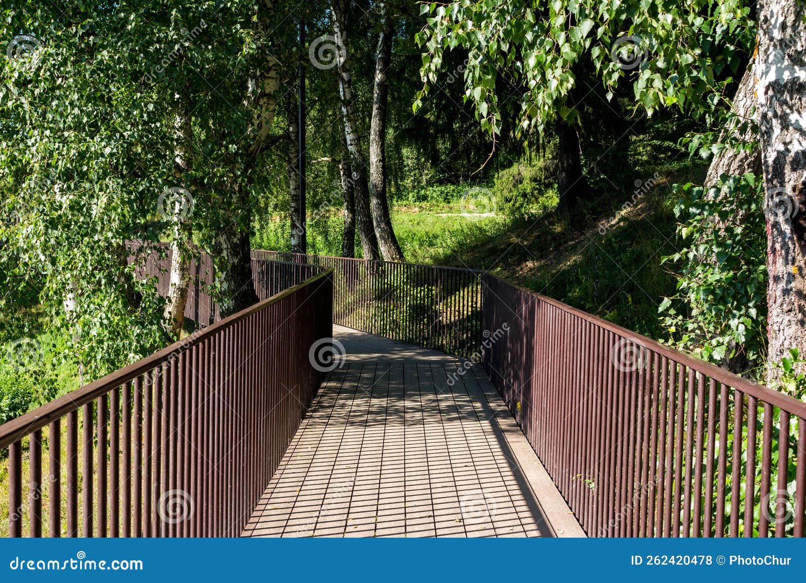 Pedestrian Walking Deck with Railings Laid between Birches in the Park Stock Photo - Image of ...