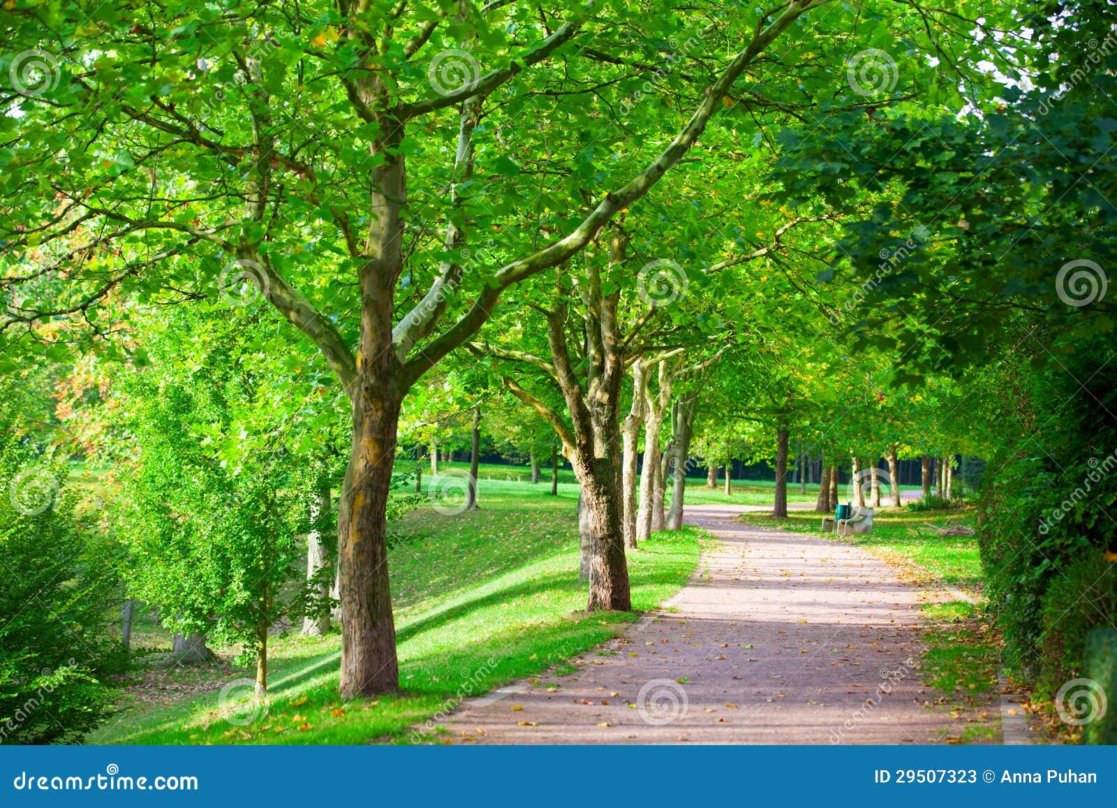 Pedestrian walkway stock image. Image of residential - 29507323 Pedestrian walkway stock image. Image of residential - 29507323