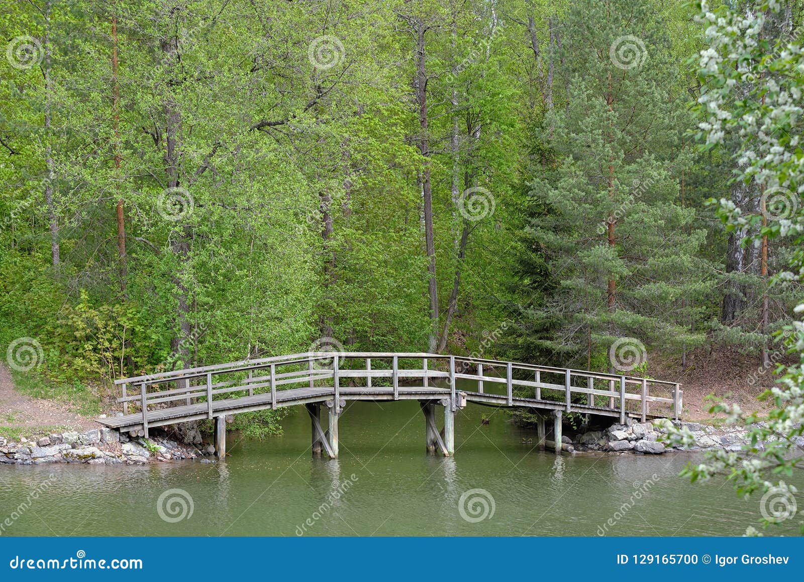 Pedestrian Wooden Bridge Over Stream Stock Photo - Image of leaf ...