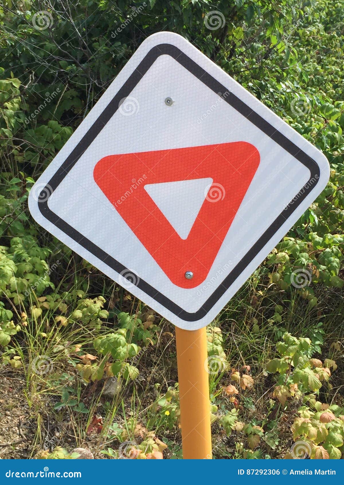 Pedestrian Yield Sign on a Hiking Trail Stock Photo - Image of post ...