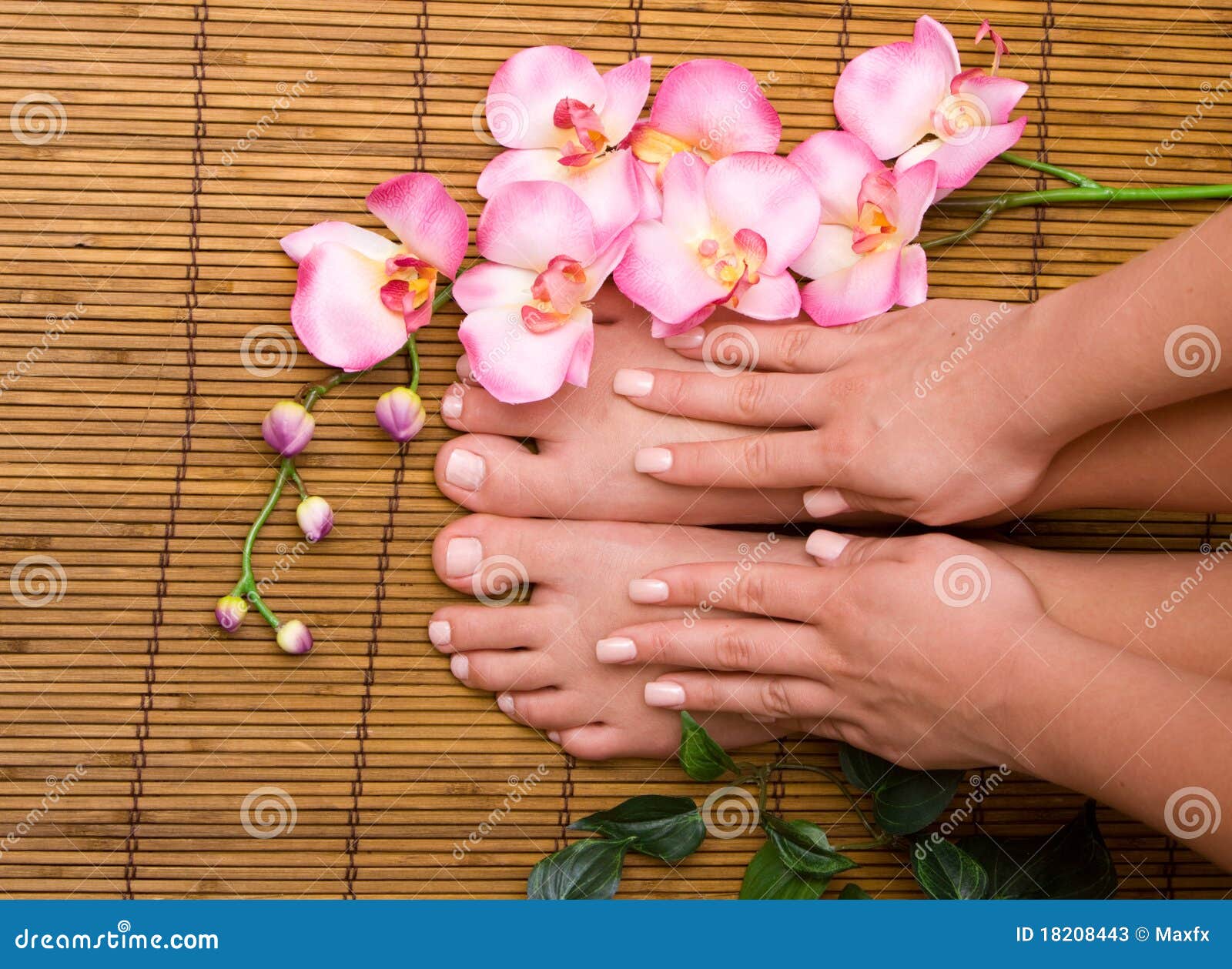 Pedicure stock image. Image of orchid, finger, pedicure - 18208443