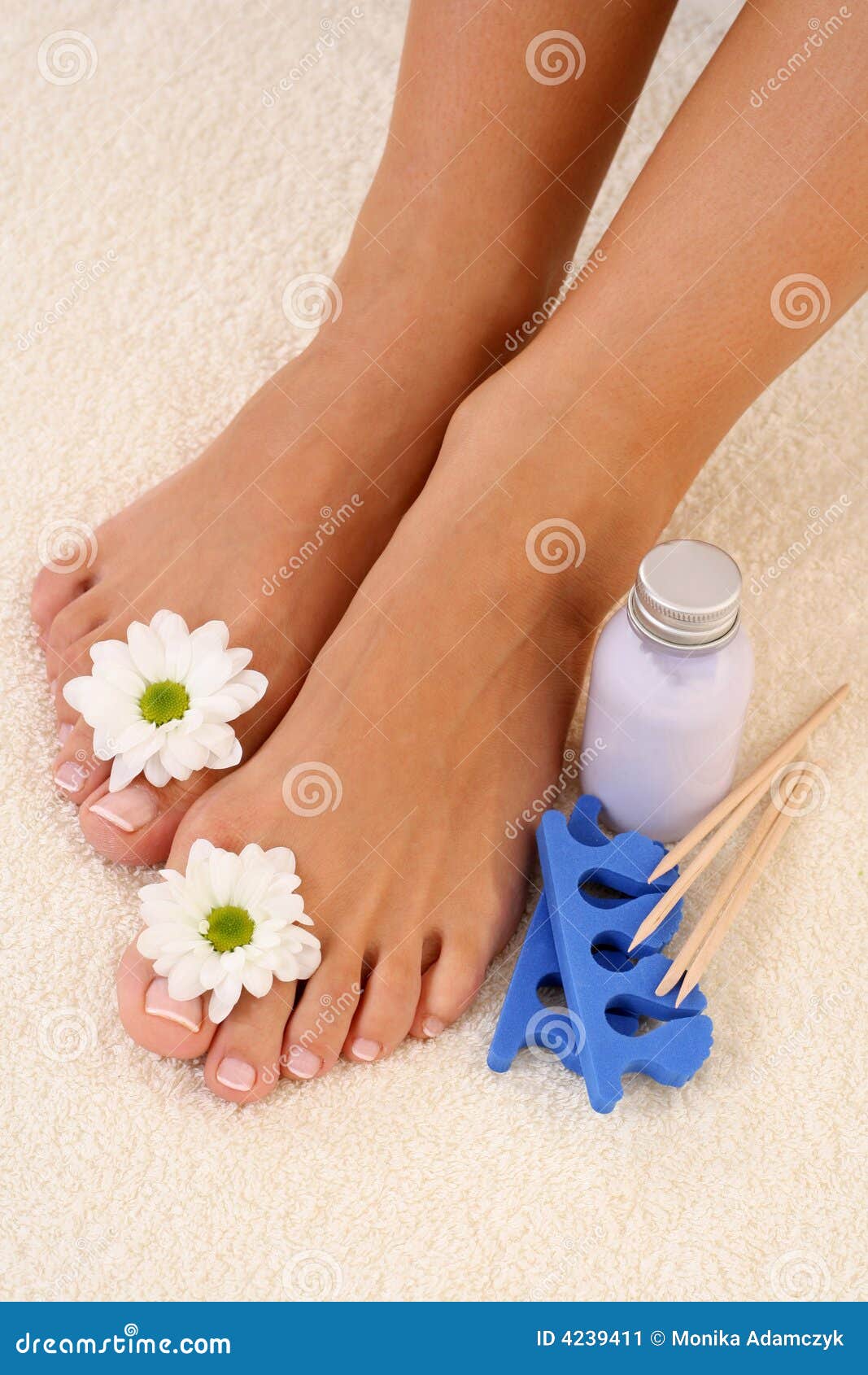 Pedicure stock image. Image of cosmetic, daisy, legs, treatment - 4239411