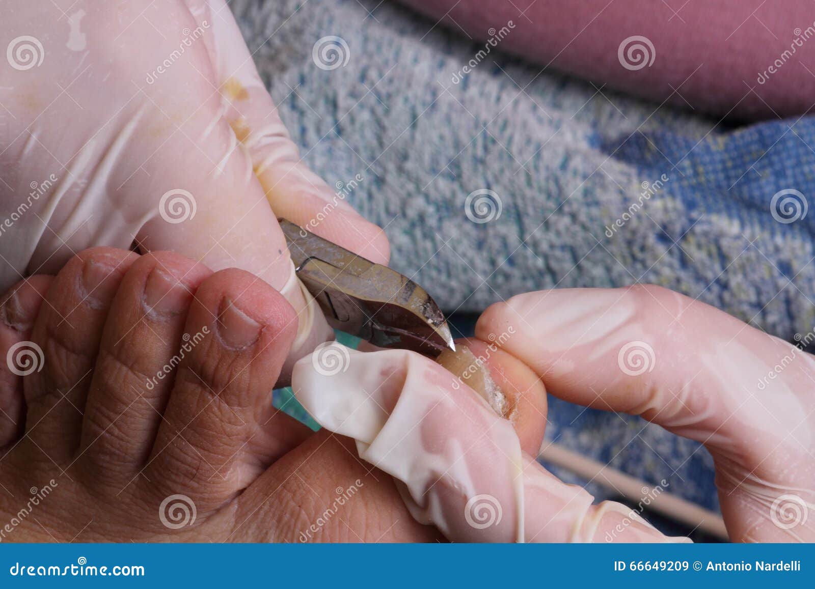 Pedicure stock image. Image of health, nail, cleaning - 66649209