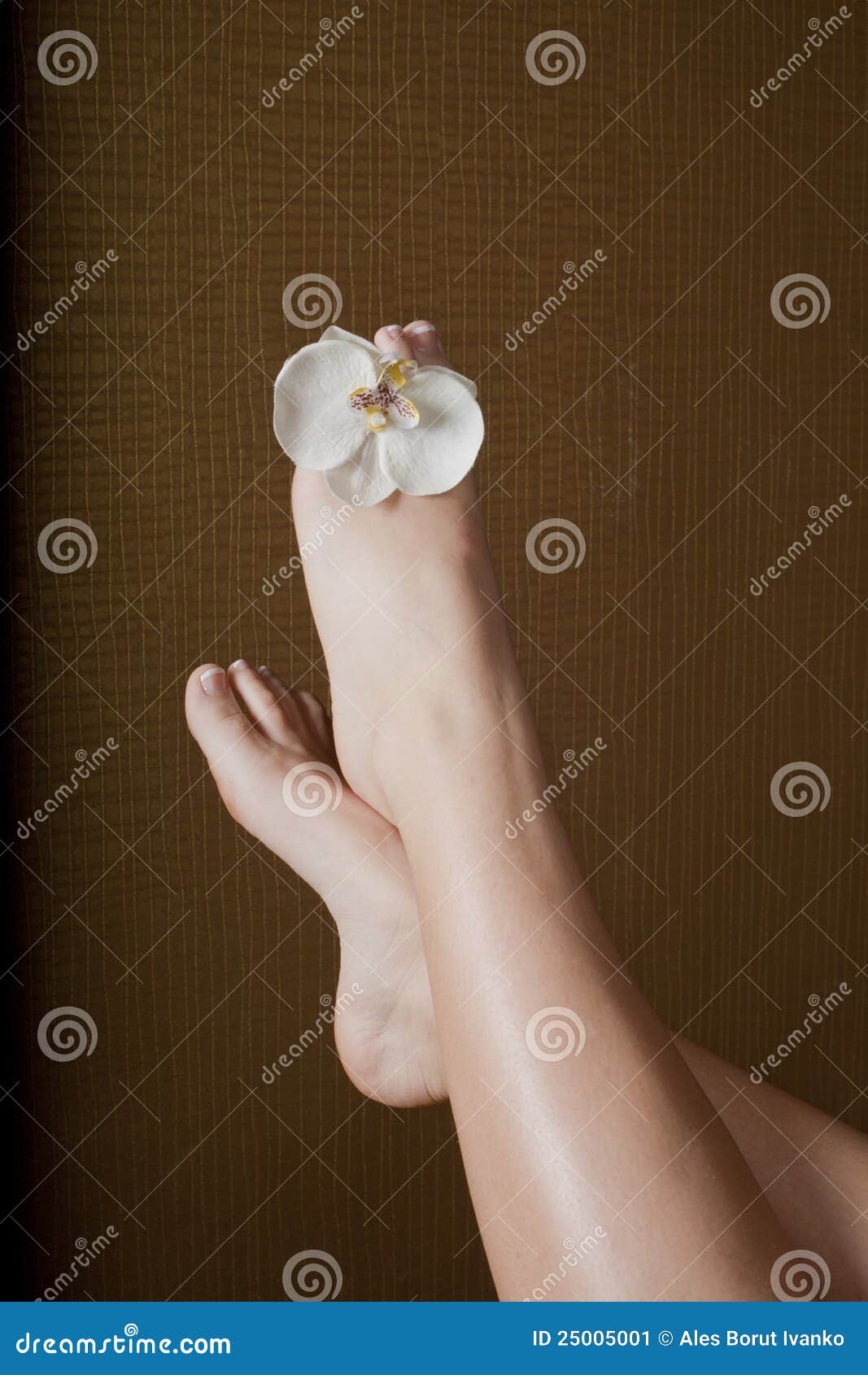 Pedicure legs with flower stock image. Image of gold - 25005001