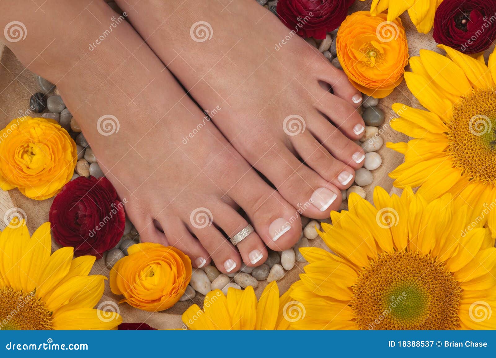 Pedicure Spa stock image. Image of skincare, foot, flower - 18388537