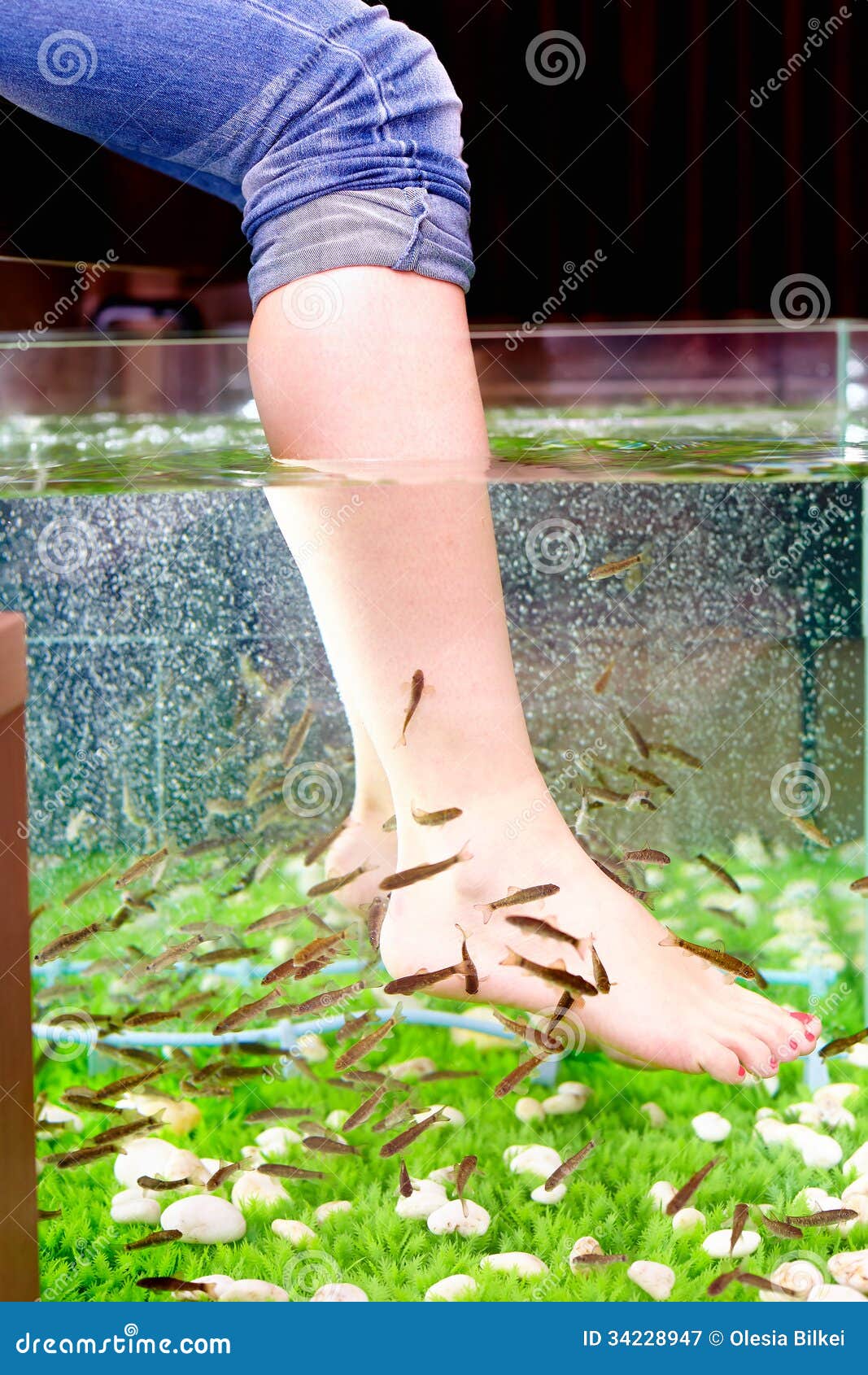 Pedicure Spa Treatment, Rufa Garra Fish Stock Image - Image of ...