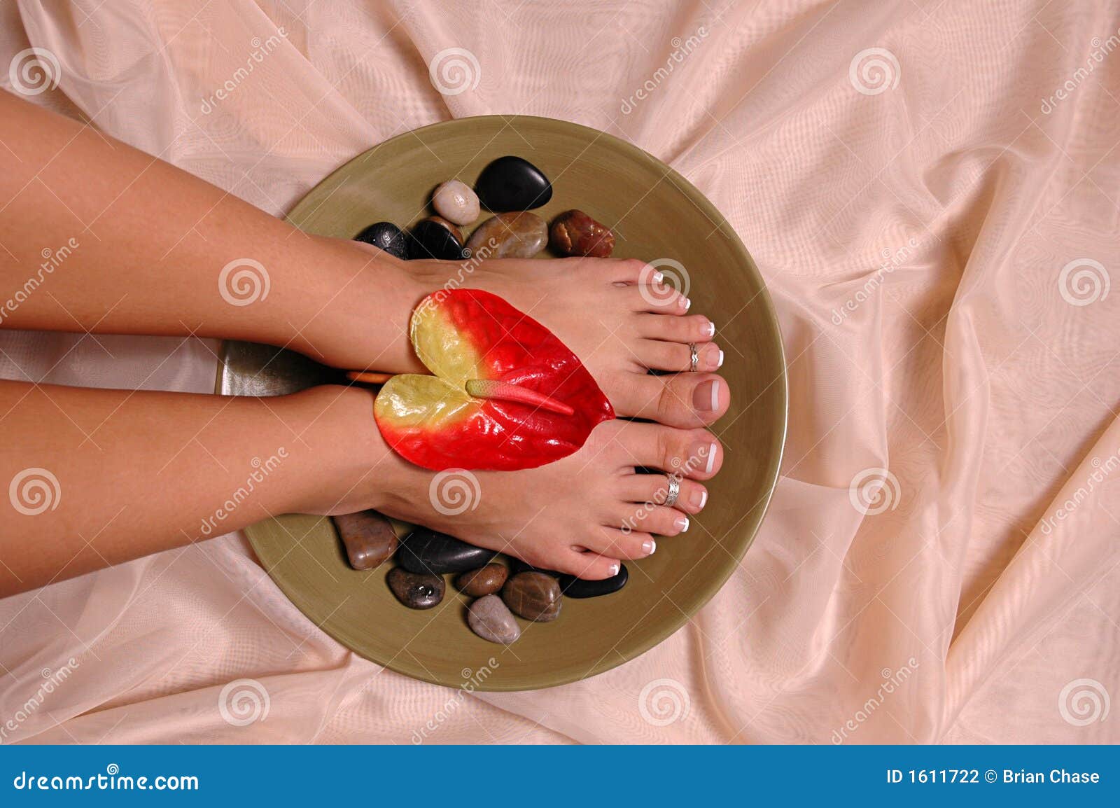 Pedicured Feet stock photo. Image of pebble, ankle, cosmetics - 1611722