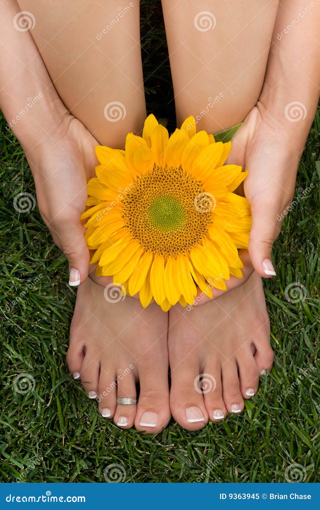 Pedicured Feet on Grass stock image. Image of rejuvenation - 9363945