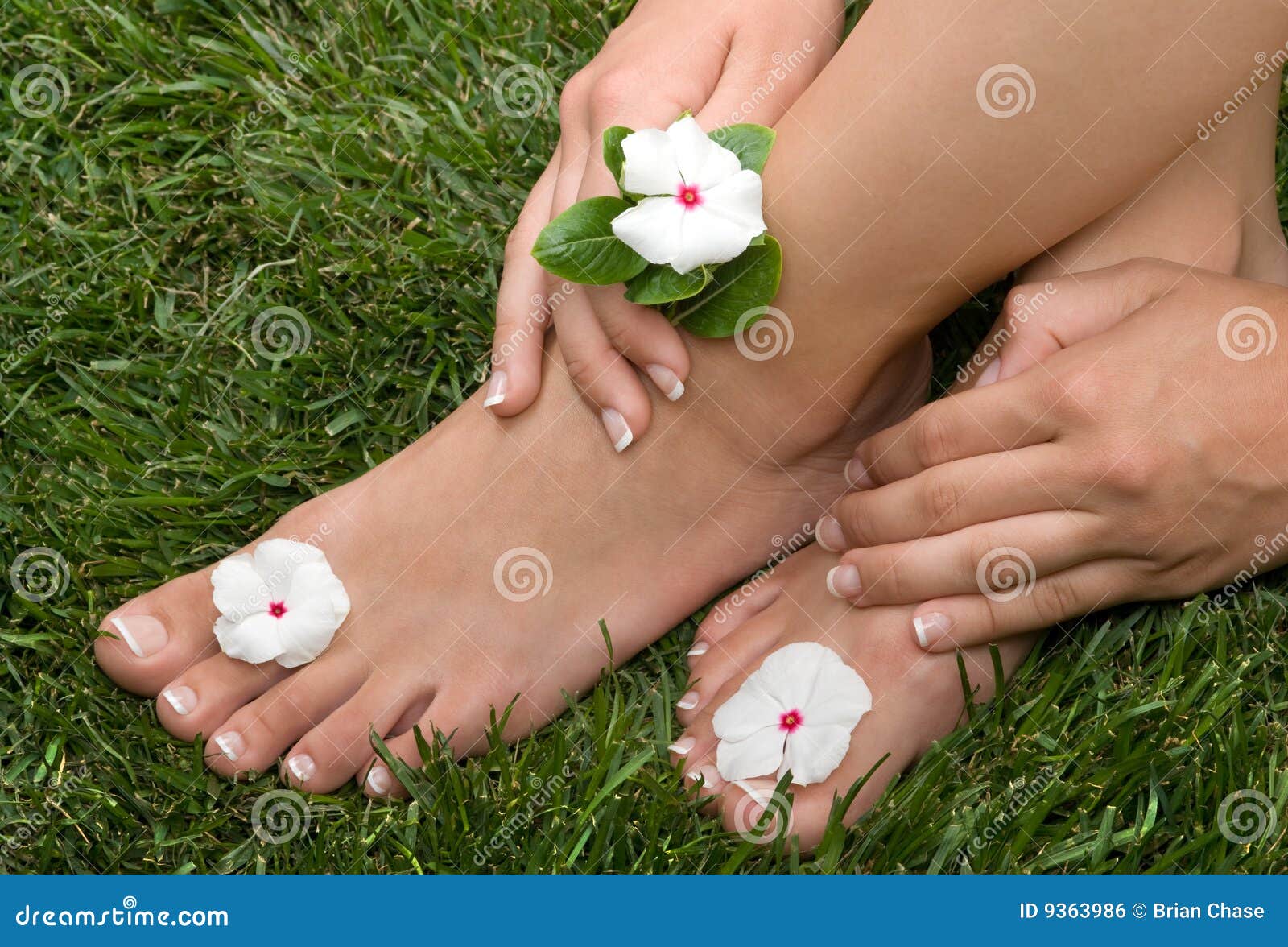 Pedicured Feet on Grass stock photo. Image of health, garden - 9363986