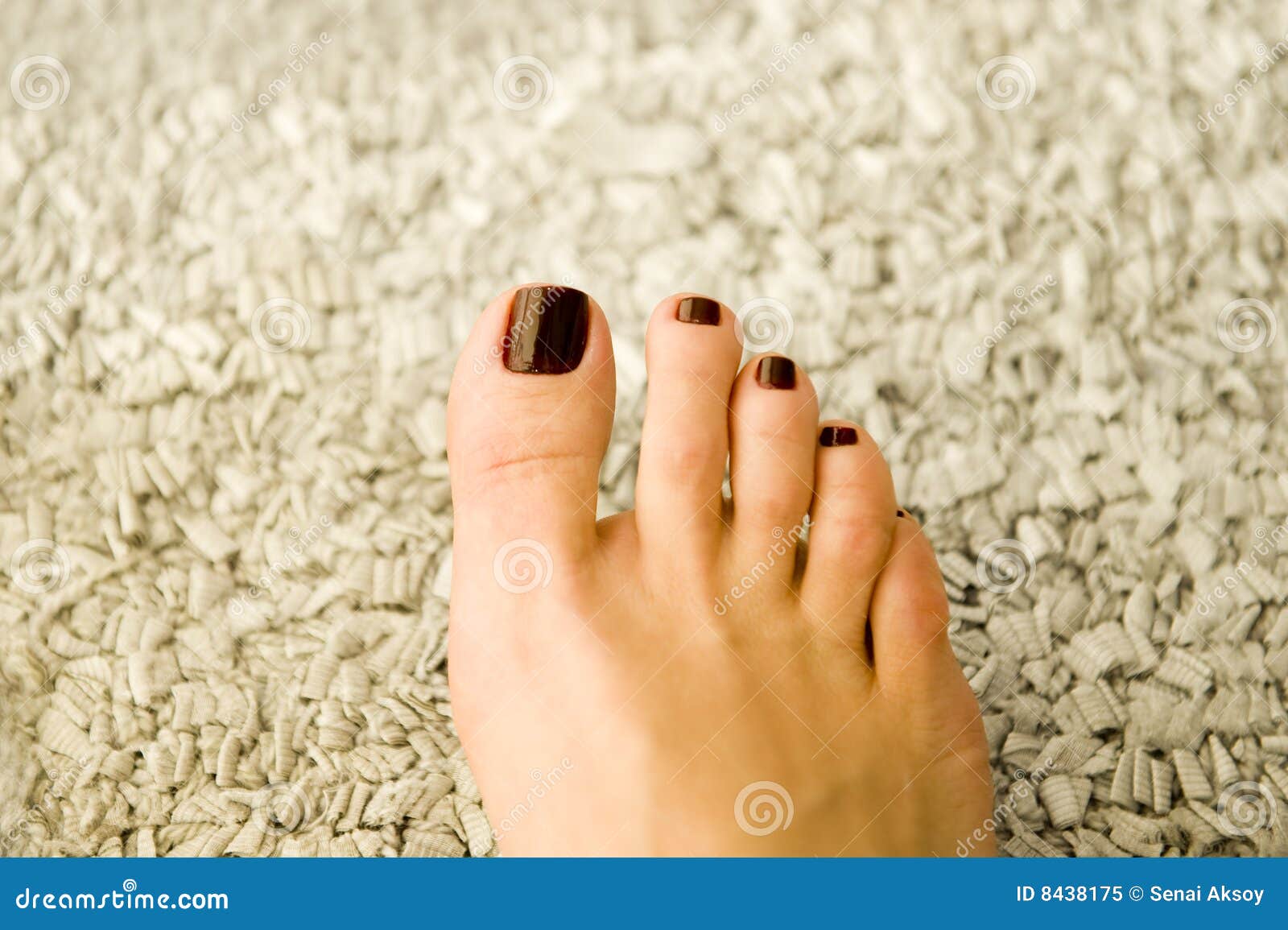 Beautiful Pedicured Female Feet And Tropical Flowe Royalty-Free Stock ...