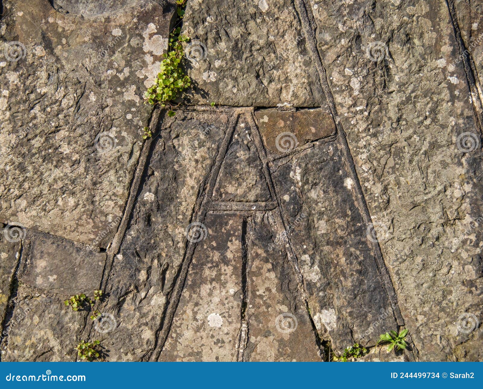 Pedra Angular Na Ponte Torrington Devon England. Foto de Stock - Imagem ...