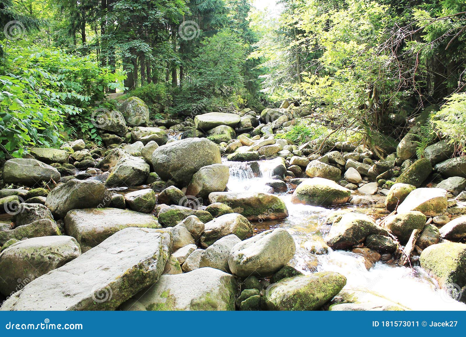 Pedras no fundo do rio imagem de stock. Imagem de foco - 181573011