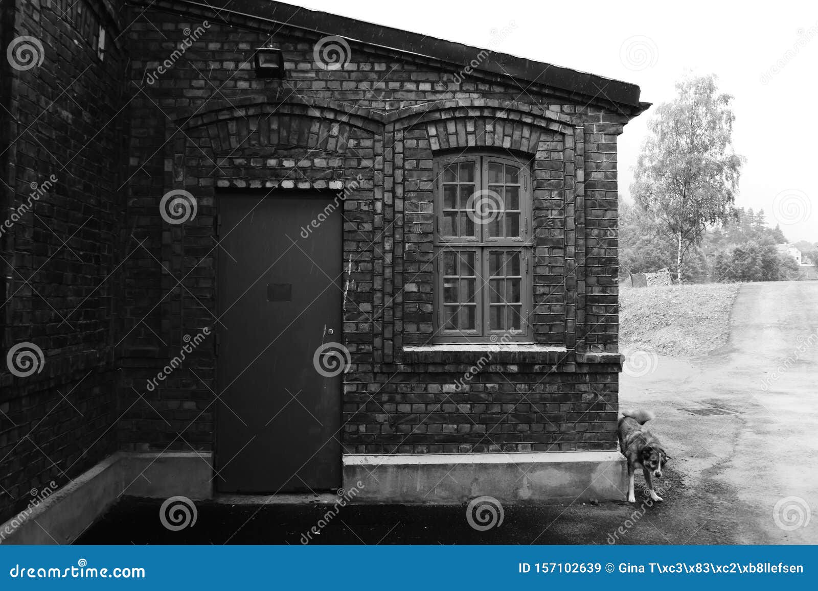 Pee time stock image. Image of break, building, corner - 157102639