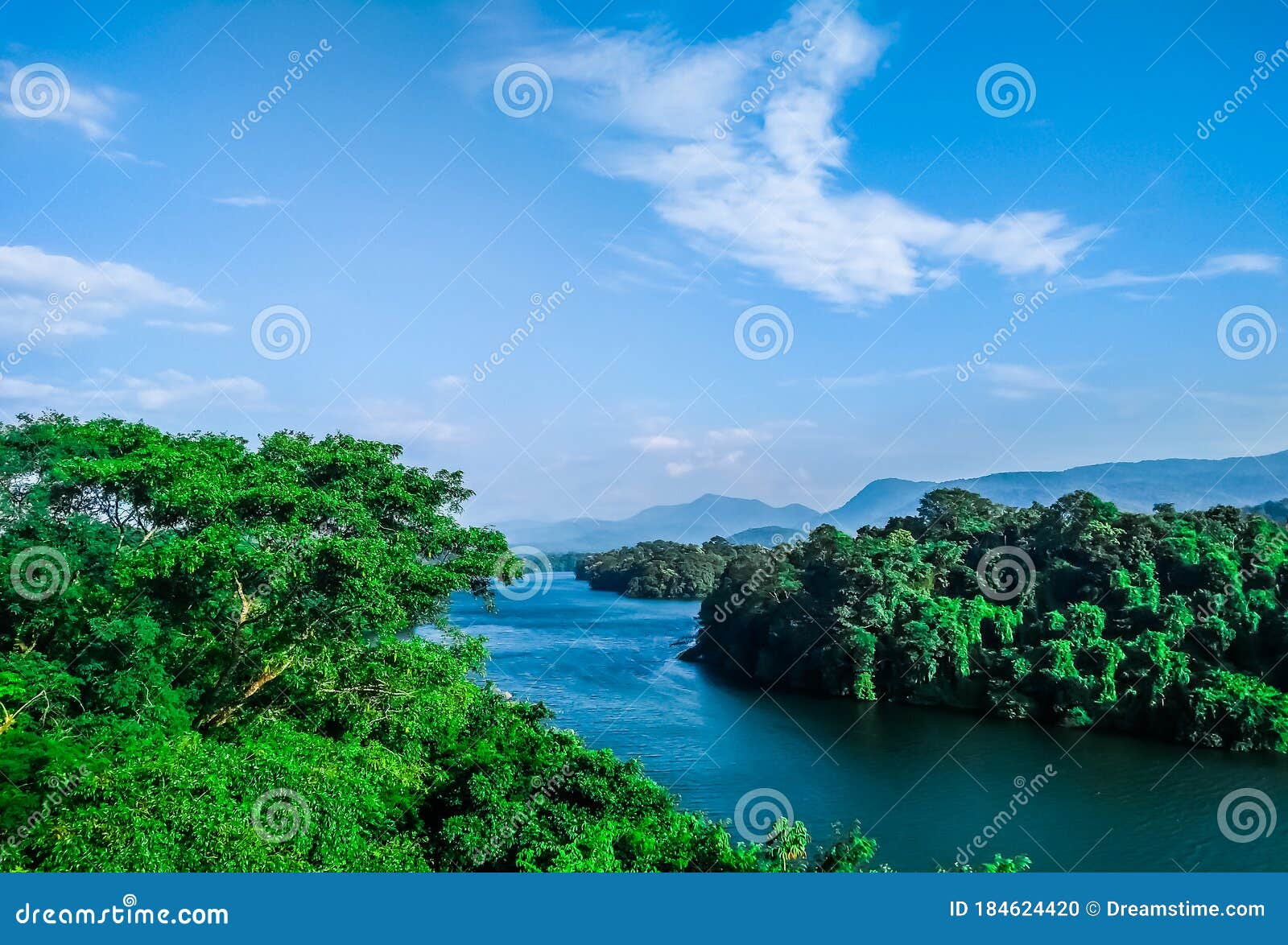 Peechi reservoir in kerala stock photo. Image of water - 184624420