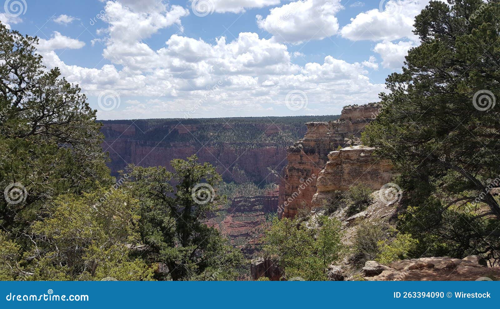 Grand Canyon with Trees stock photo. Image of natural - 263394090