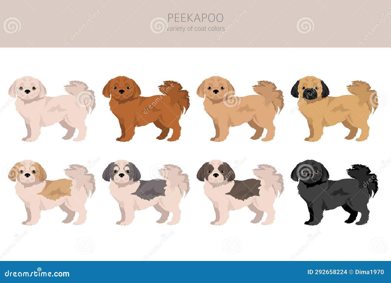 Peekapoo Clipart. Pekingese Poodle Mix Stock Vector - Illustration of ...