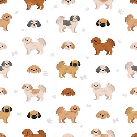 Peekapoo Seamless Pattern. Pekingese Poodle Mix Stock Illustration ...