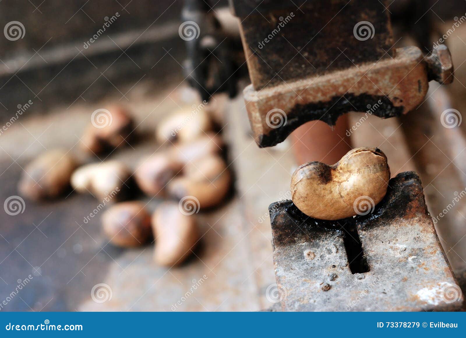 Peel Cashew Shell stock image. Image of seed, cutting - 73378279
