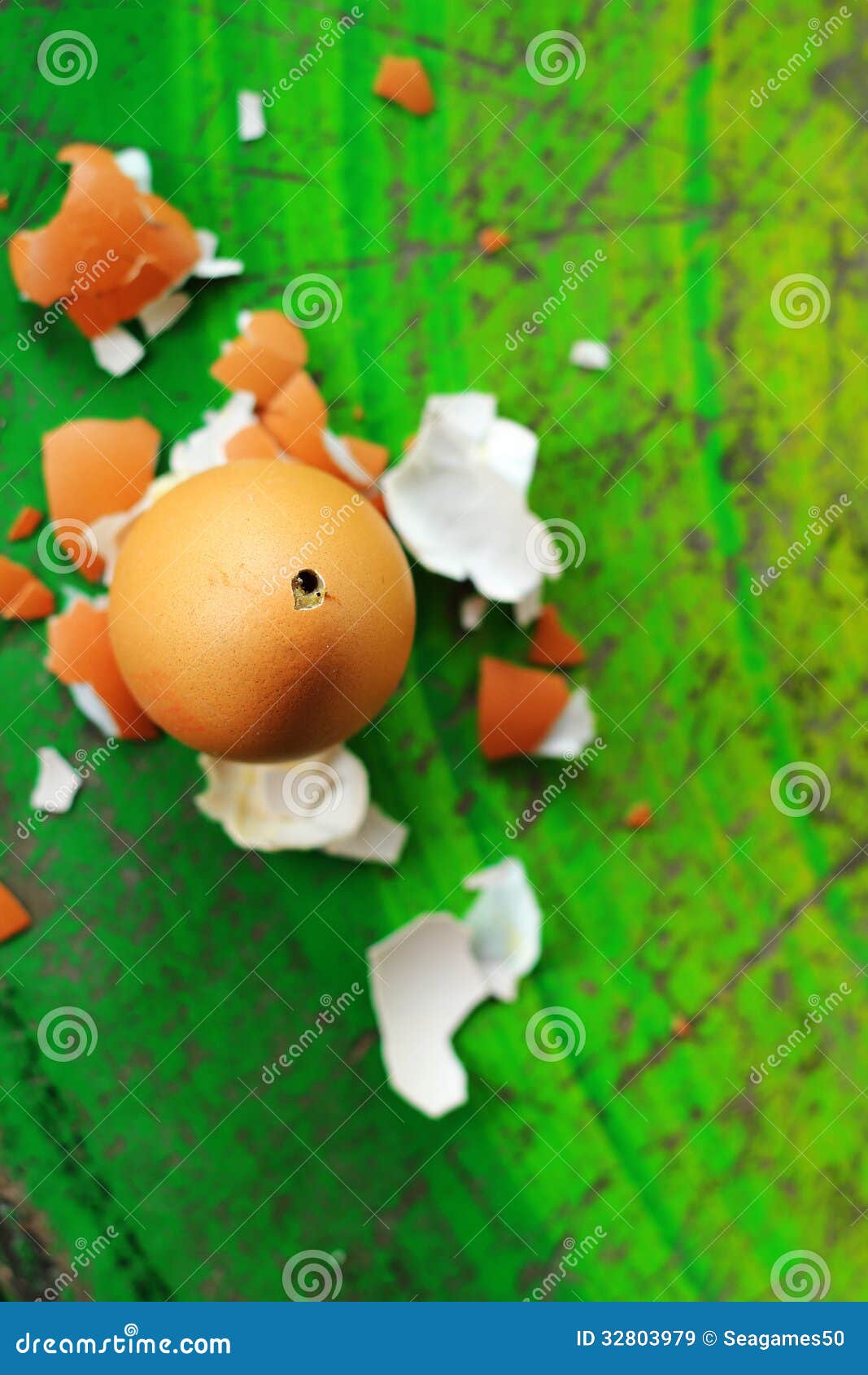 Peel eggs. stock image. Image of fresh, stand, broken - 32803979