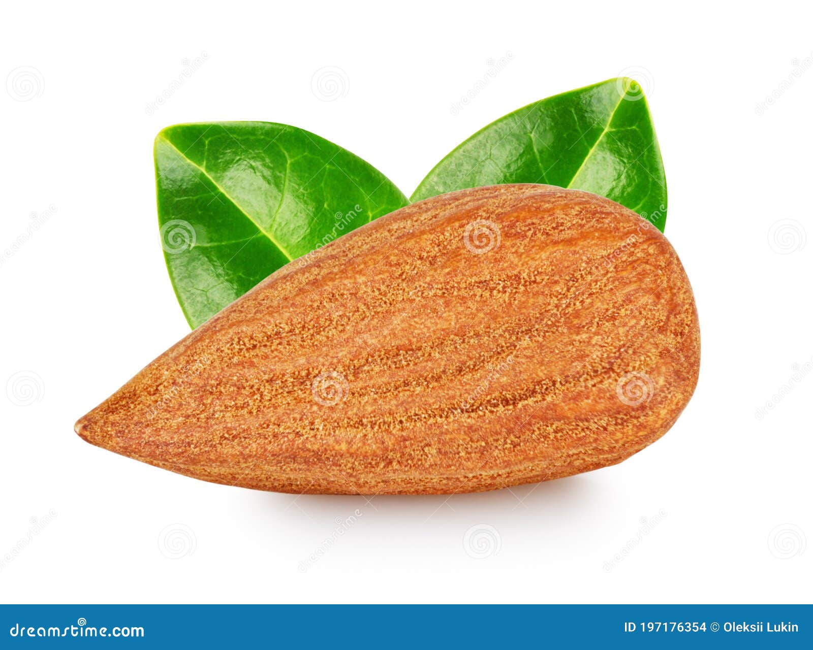 Peeled Almond Kernel with Green Leaves Stock Photo - Image of organic ...