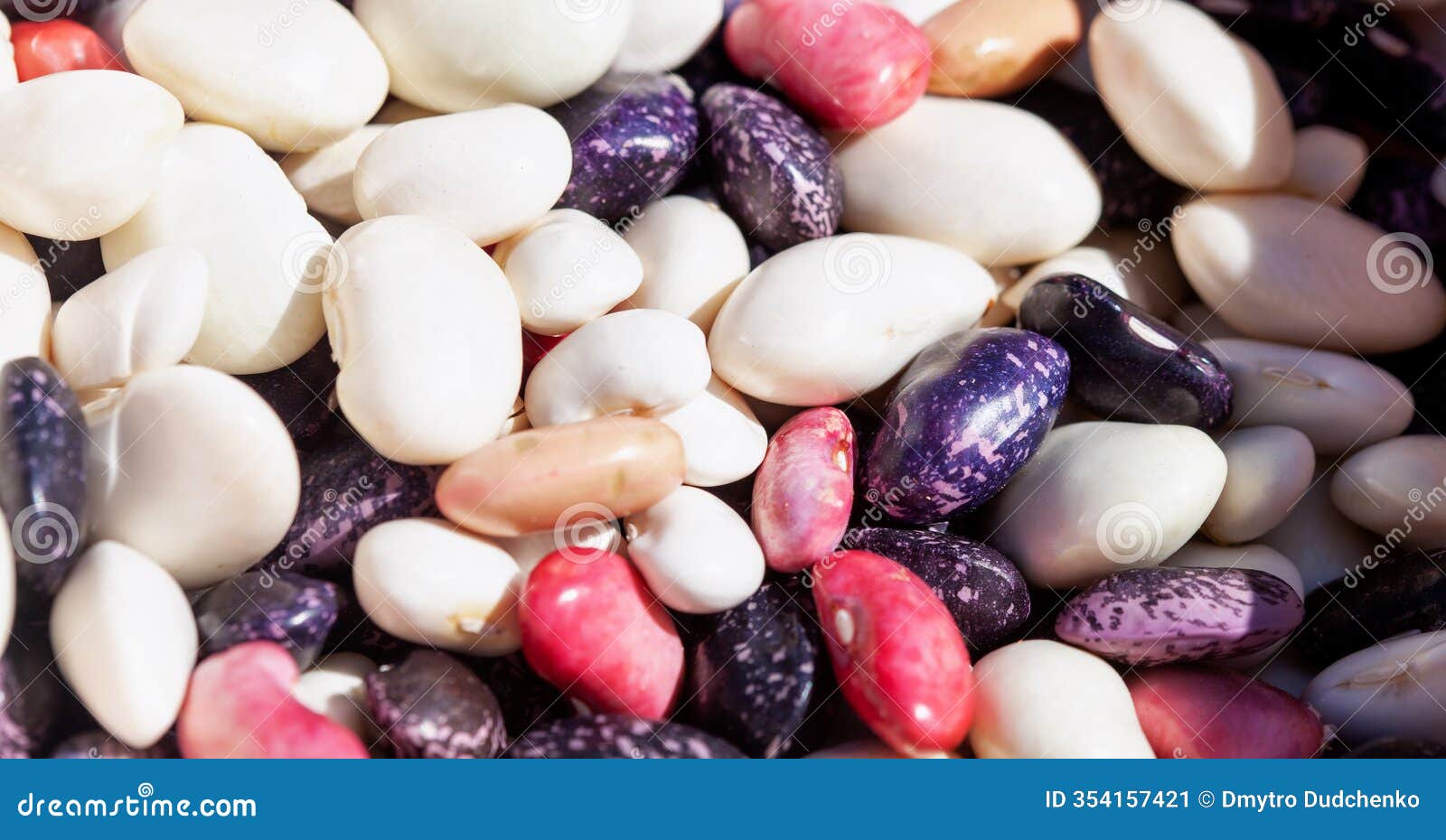 Peeled Beans of Different Varieties and Colors Stock Image - Image of ...