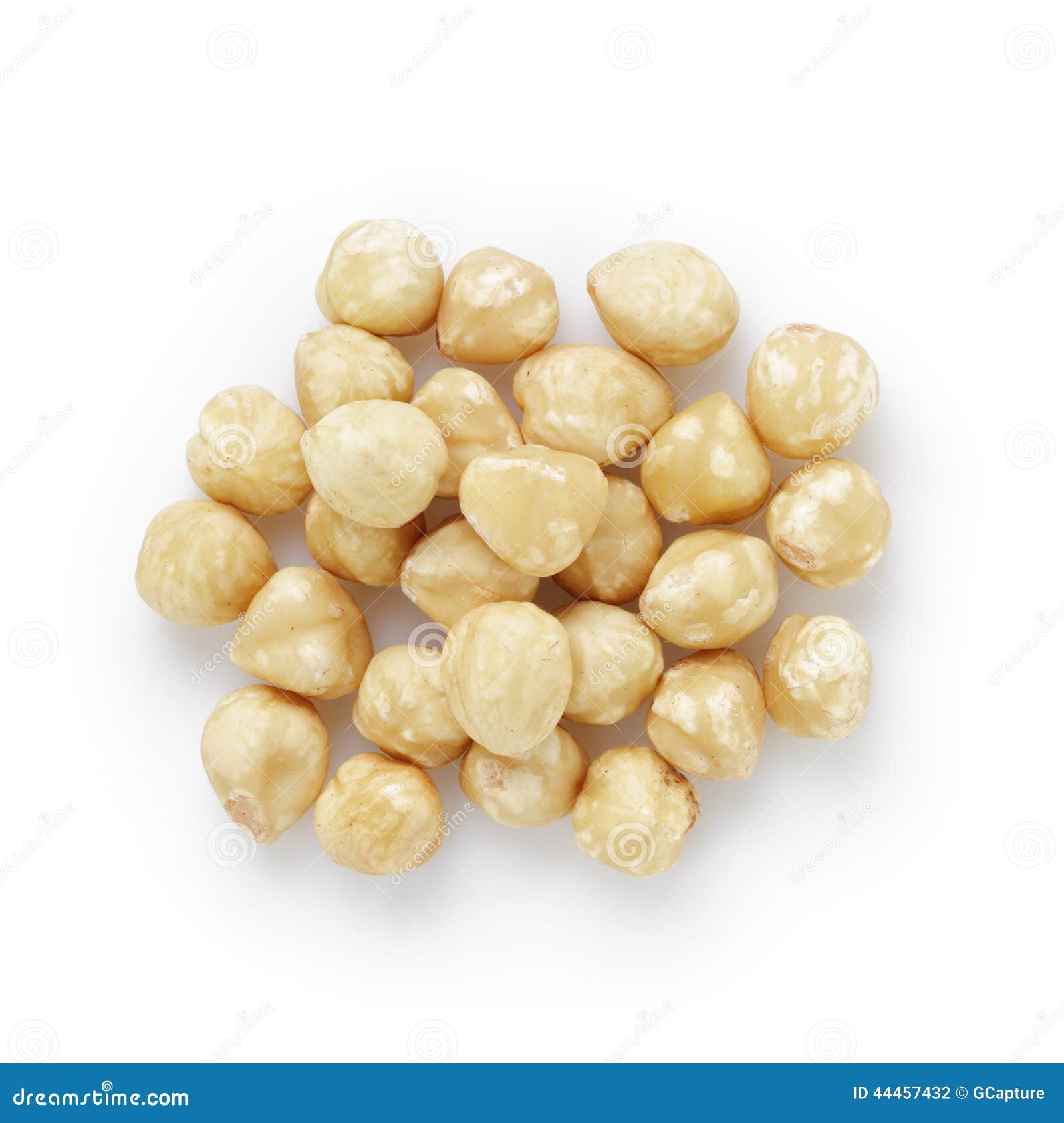 Peeled and Cleaned Hazelnut Kernels Stock Photo - Image of organic ...