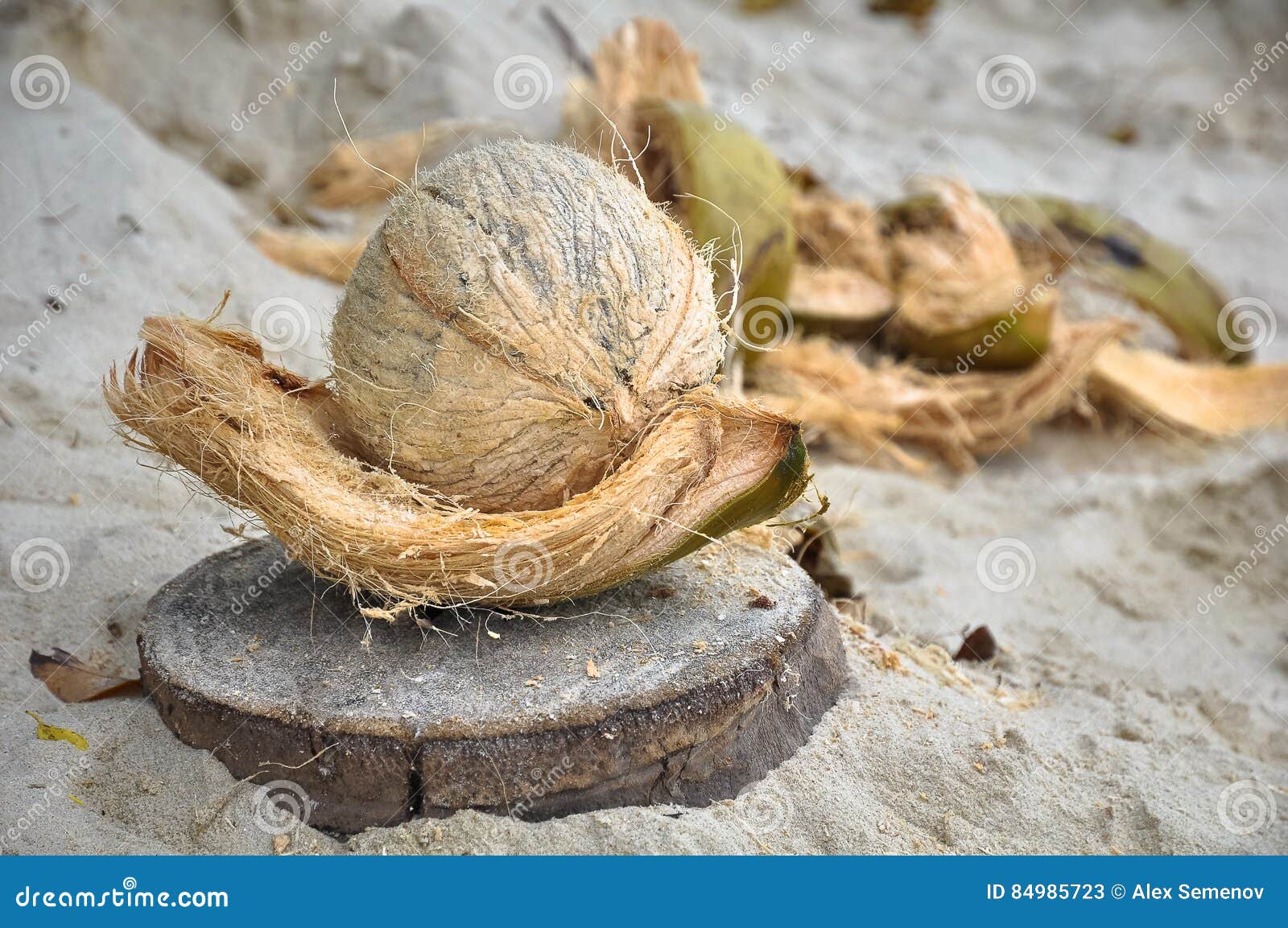 Peeled Coconut and Peel beside it Stock Image - Image of fresh, coconut ...