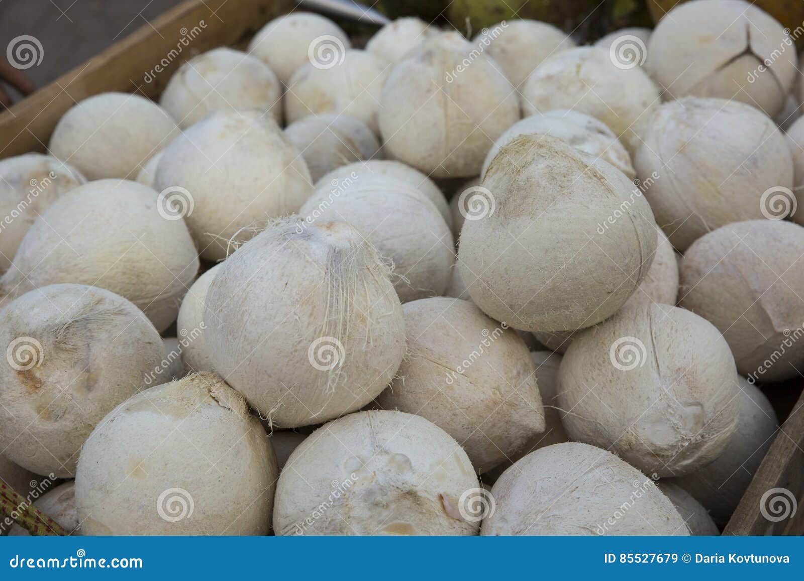 Peeled coconuts stock image. Image of asia, peeled, market - 85527679