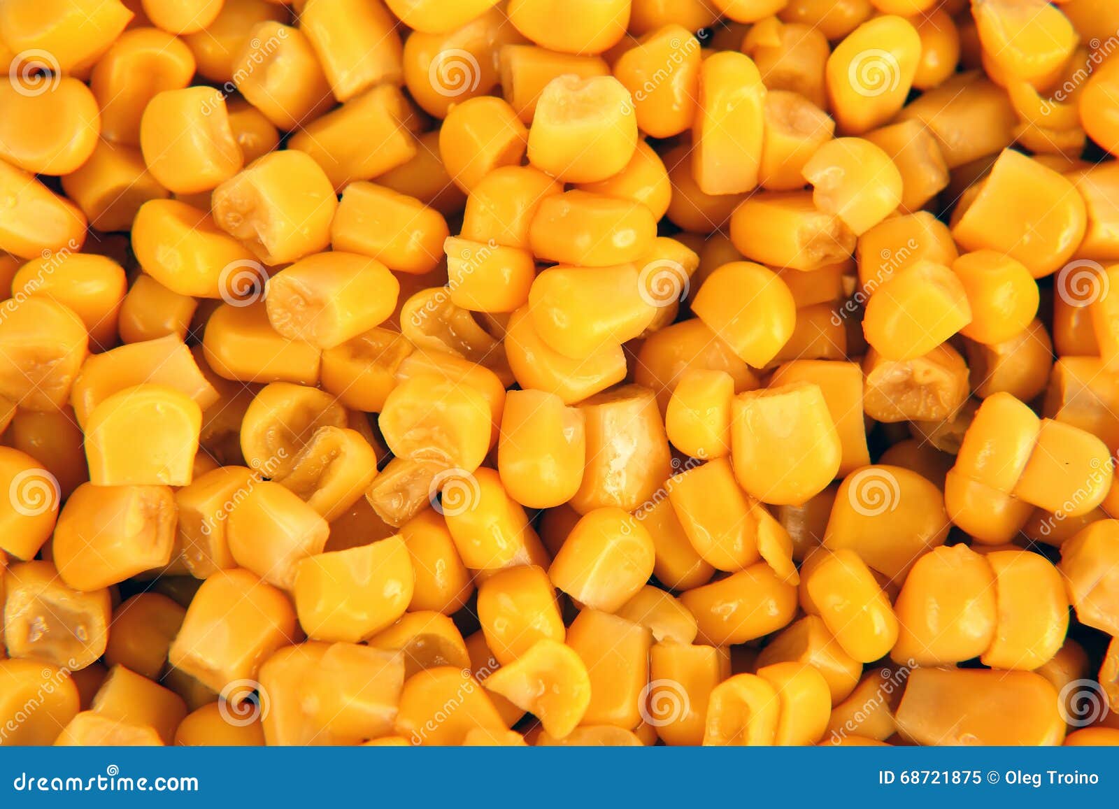 Peeled corn grain closeup stock image. Image of ingredient - 68721875