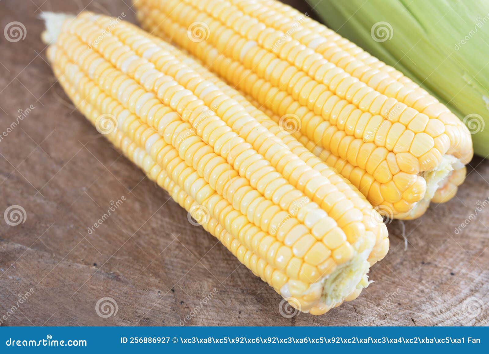 Peeled Fresh and Tender Corn on the Cob Stock Image - Image of ...