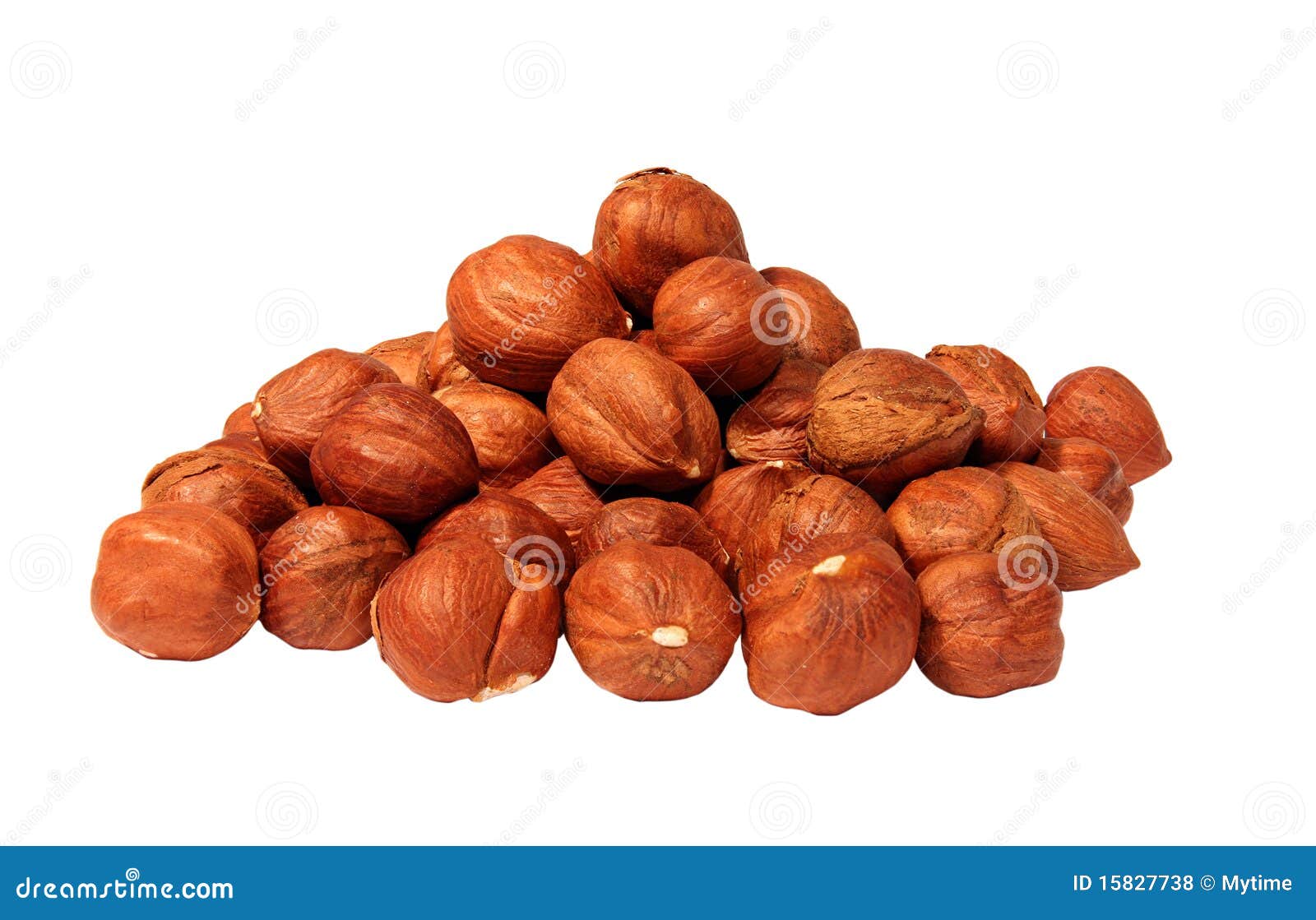 Peeled hazelnut stock photo. Image of organic, hazelnut - 15827738