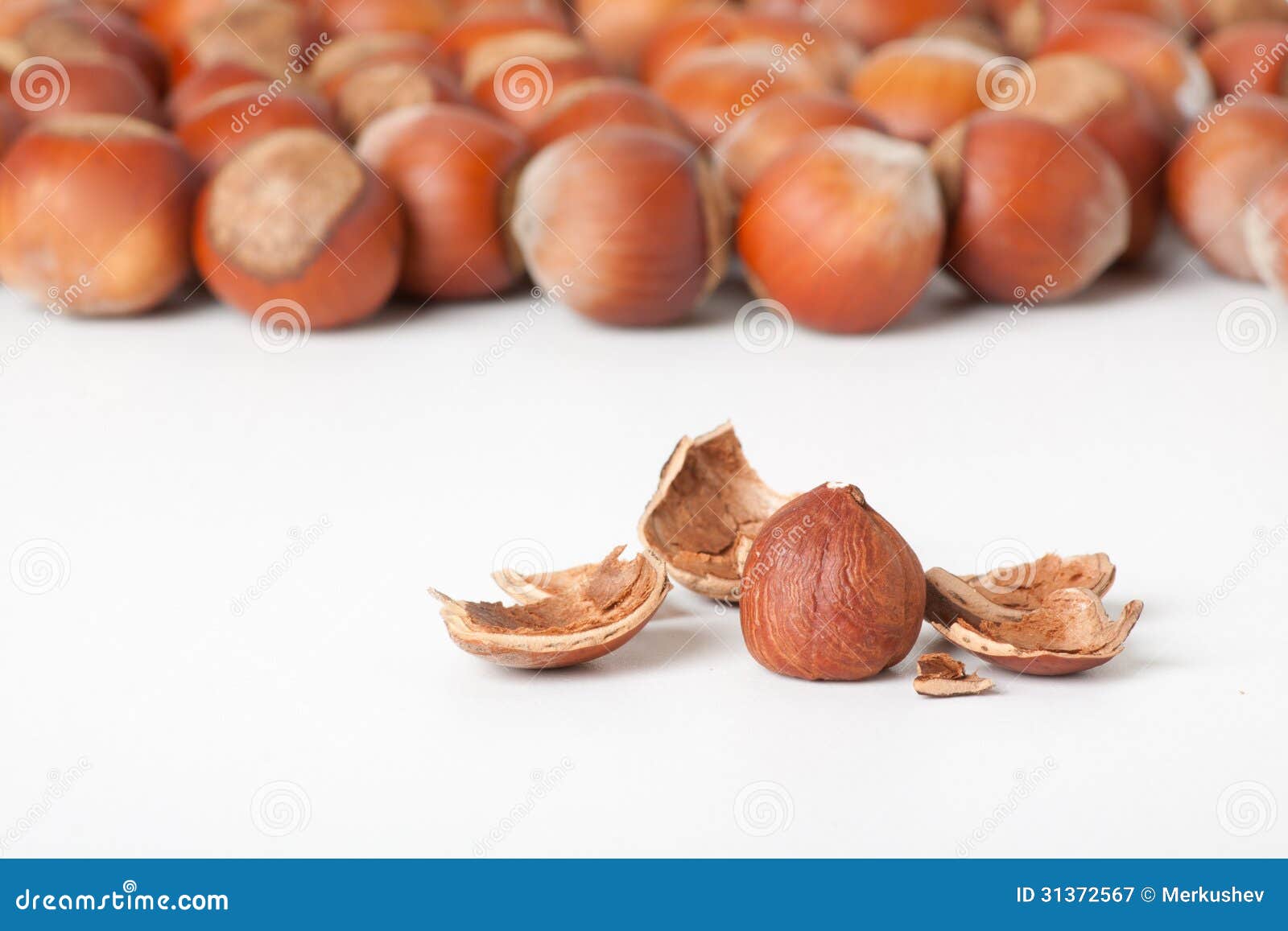 Peeled hazelnut stock image. Image of closeup, food, open - 31372567