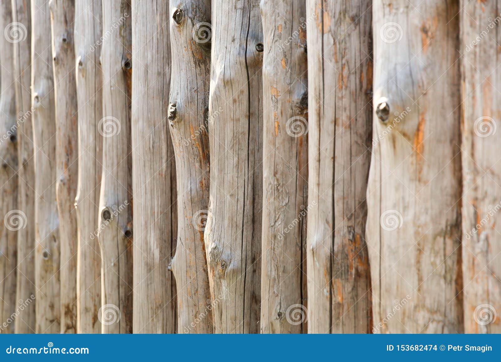 Log wall texture stock photo. Image of peeled, texture - 153682474